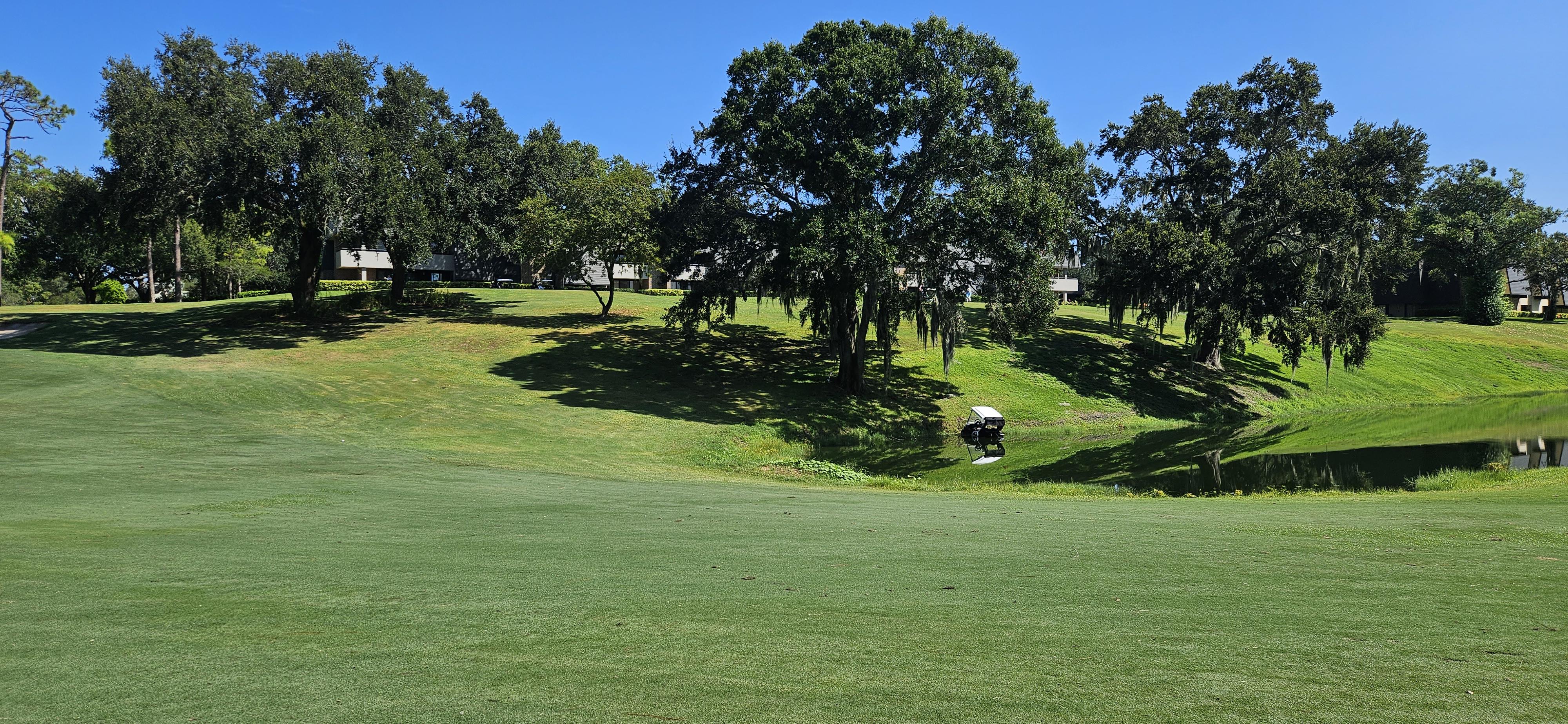 Hit the Brakes! | Scrolller