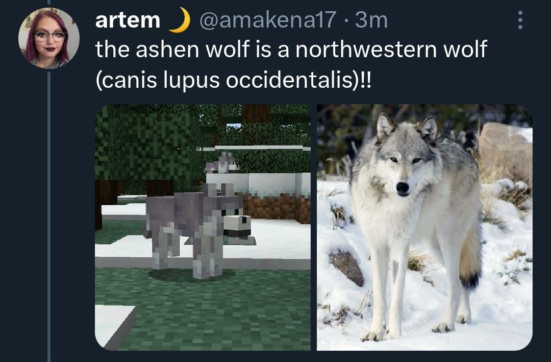 New wolf variants and their real counterparts!! | Scrolller