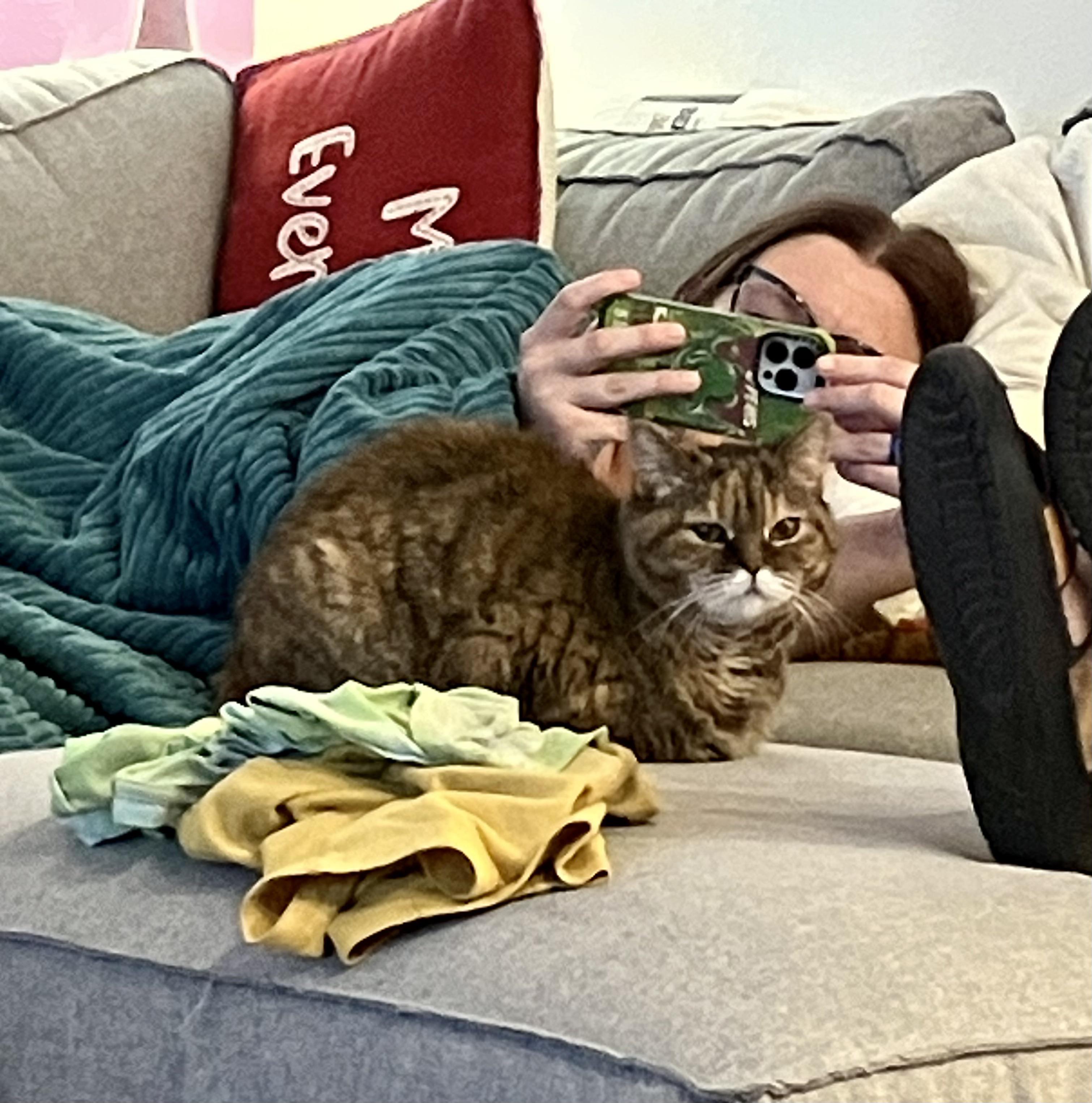 Puss was loafing so well that 3 of us felt compelled to photograph it from multiple angles ...