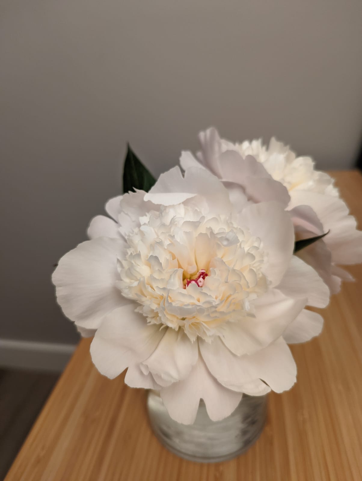 Early Peonies 💚💃🏽 (cuttings) | Scrolller