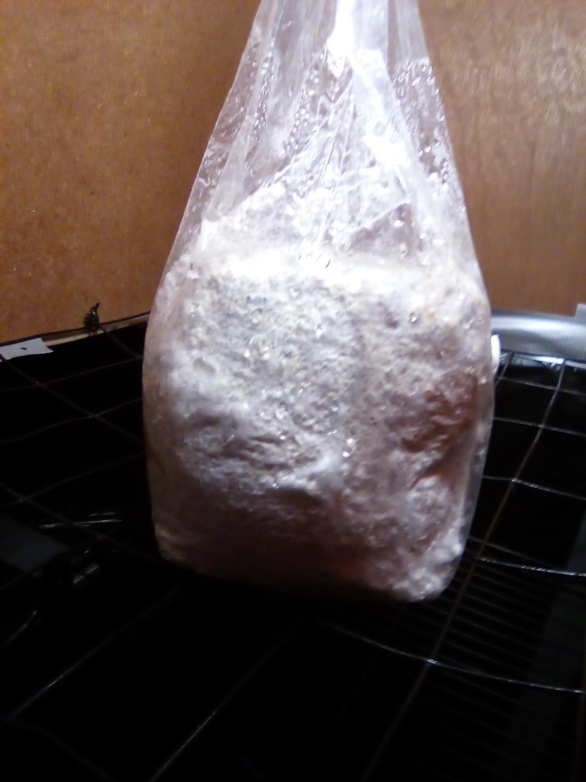 Enigma first time.. looks great. It's solid | Scrolller