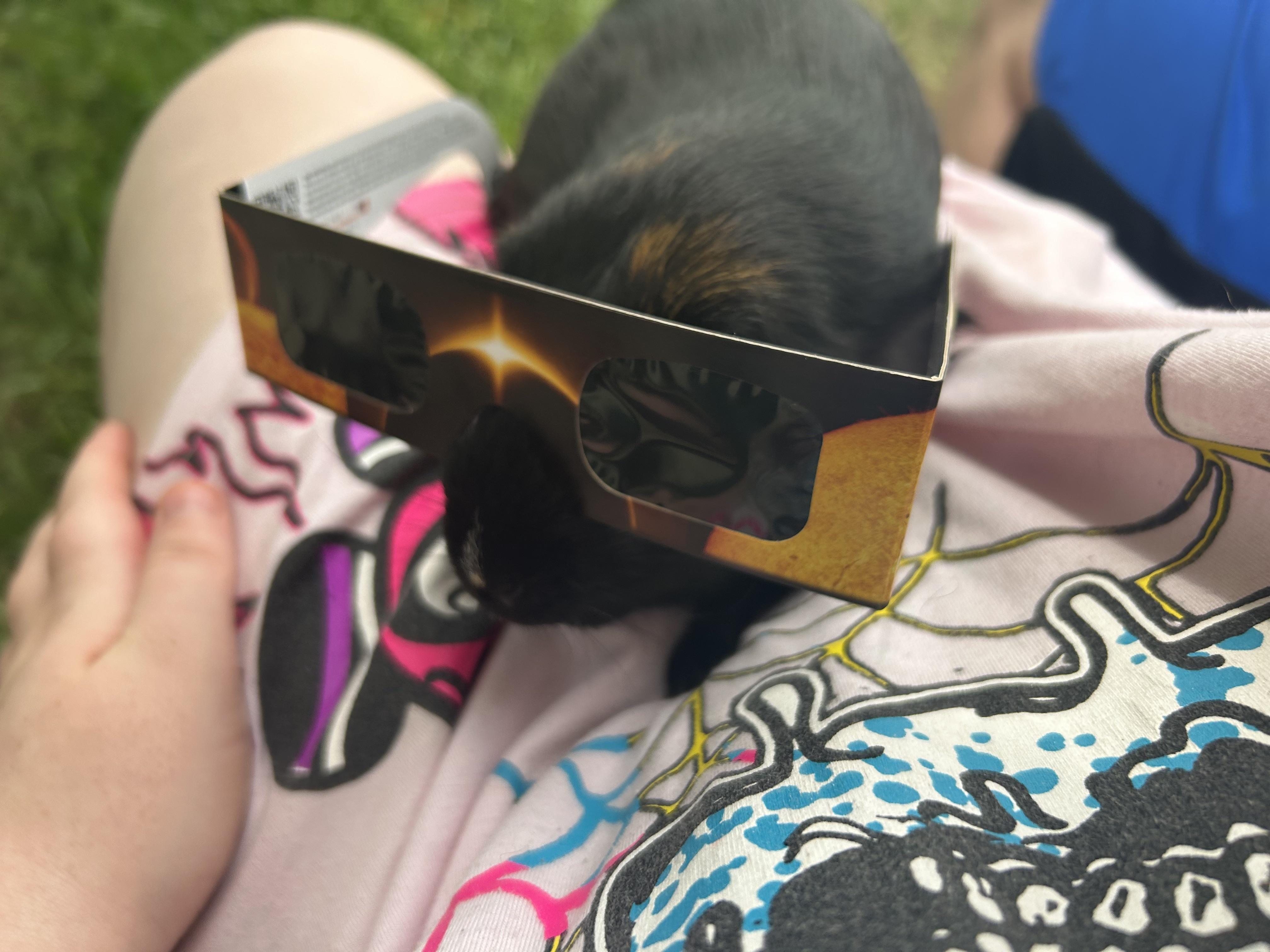 Old lady enjoys Eclipse | Scrolller