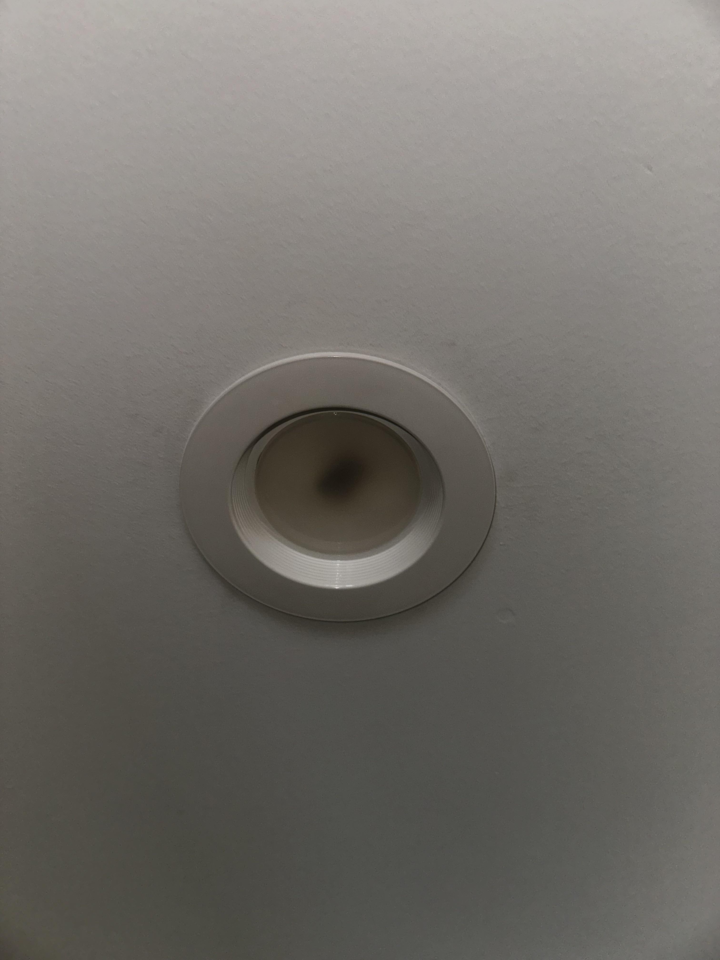 Does anyone know how to replace this ceiling lightbulb? | Scrolller