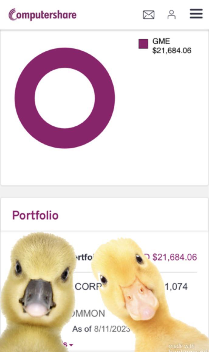 My MOASS Bingo card coming along well! 🥸🎤 Two little ducks 🦆🦆 +22!’ | Scrolller