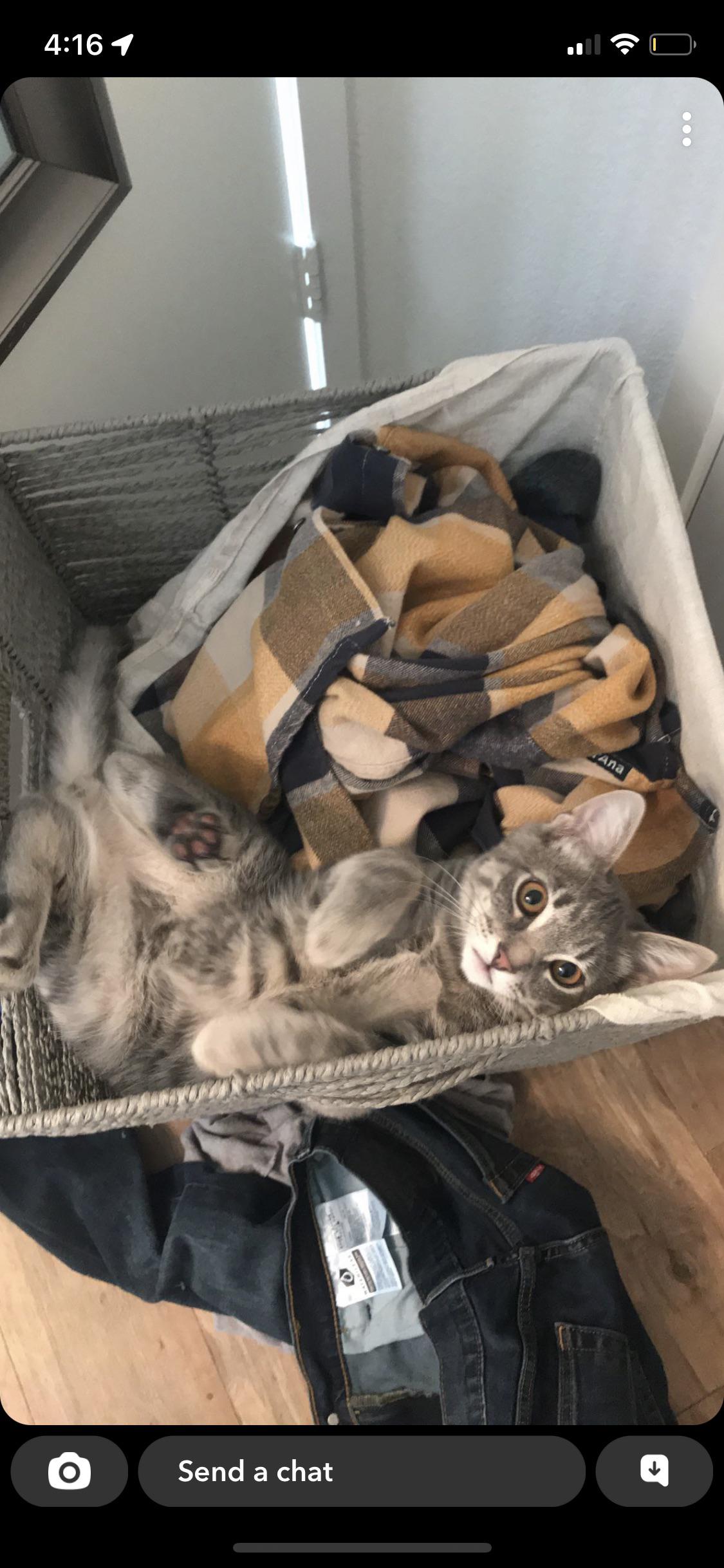 My sweet Hazy boy [OC] | Scrolller