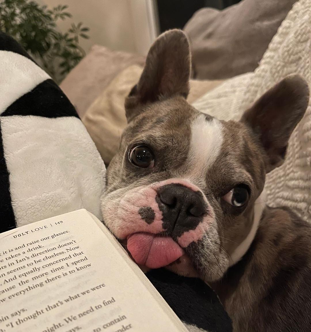 This sweet innocent face vs her official mugshot | Scrolller