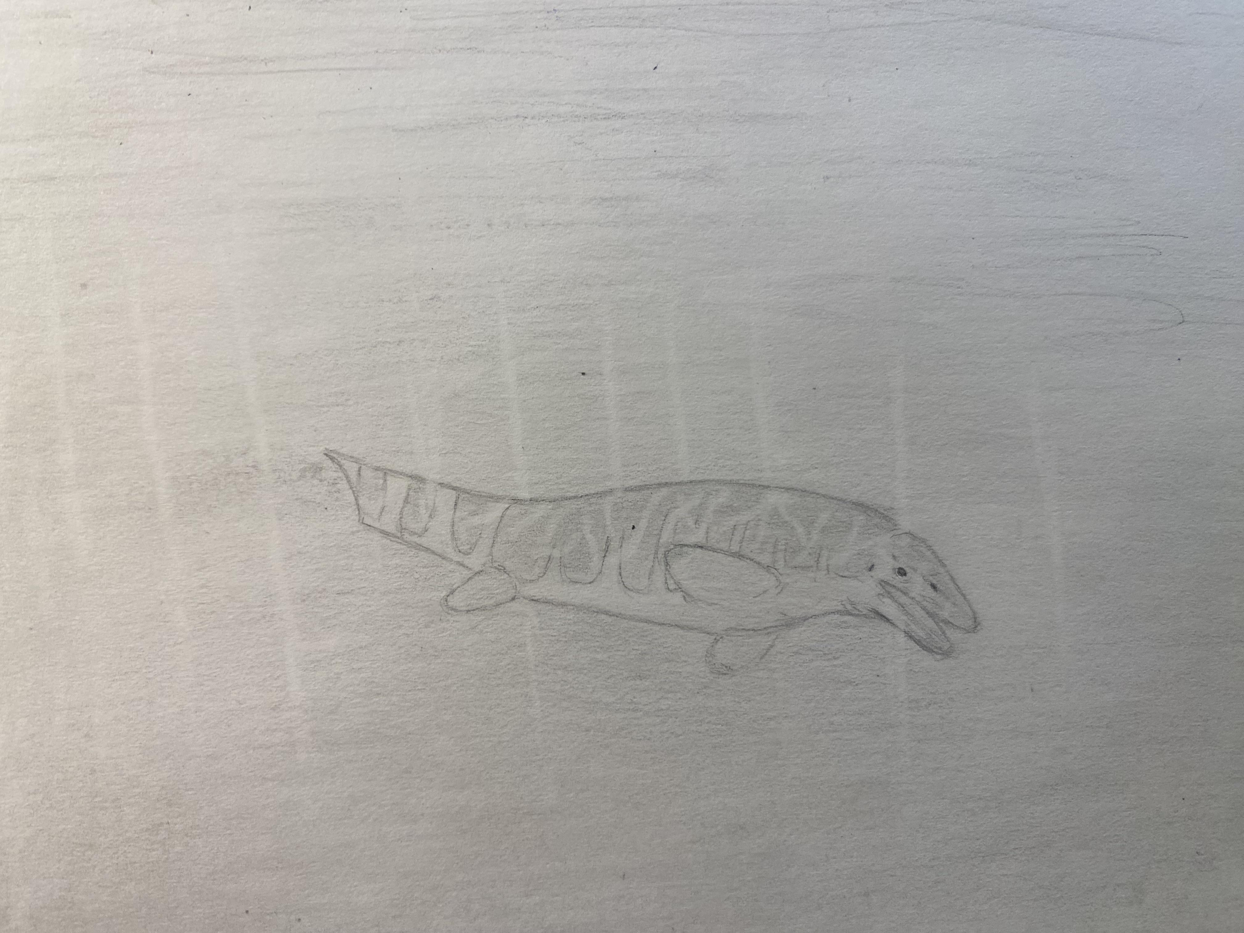 Cretoxyrhina AKA the “Ginsu shark” preying on a small mosasaur (Platecarpus) | Scrolller