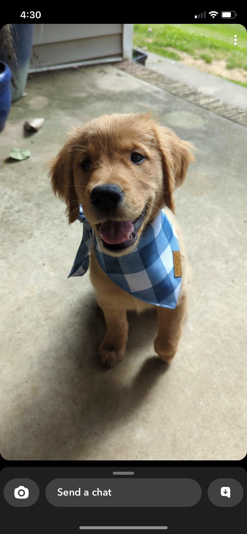 Here is Jax | Scrolller