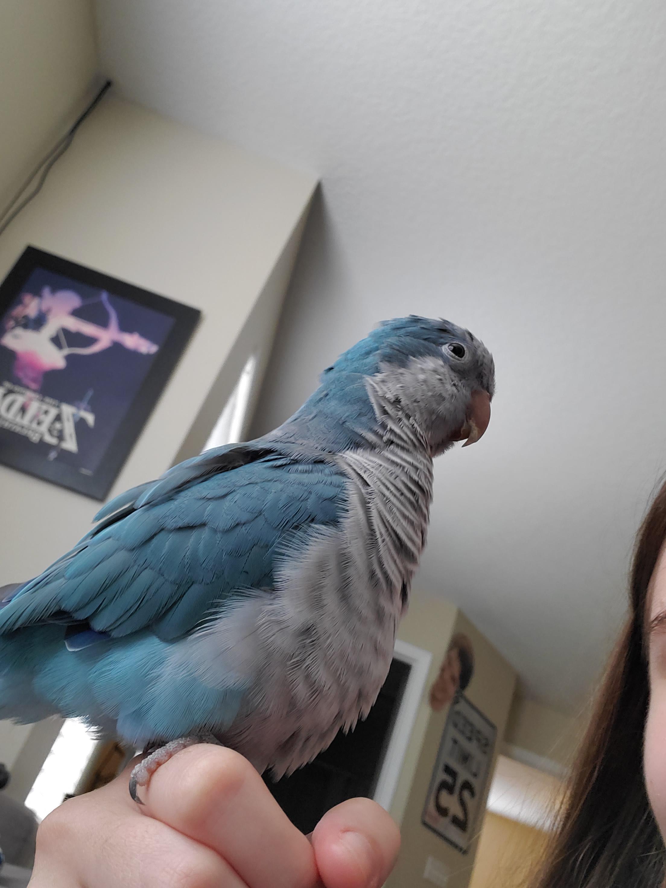 Is his skin dry? | Scrolller