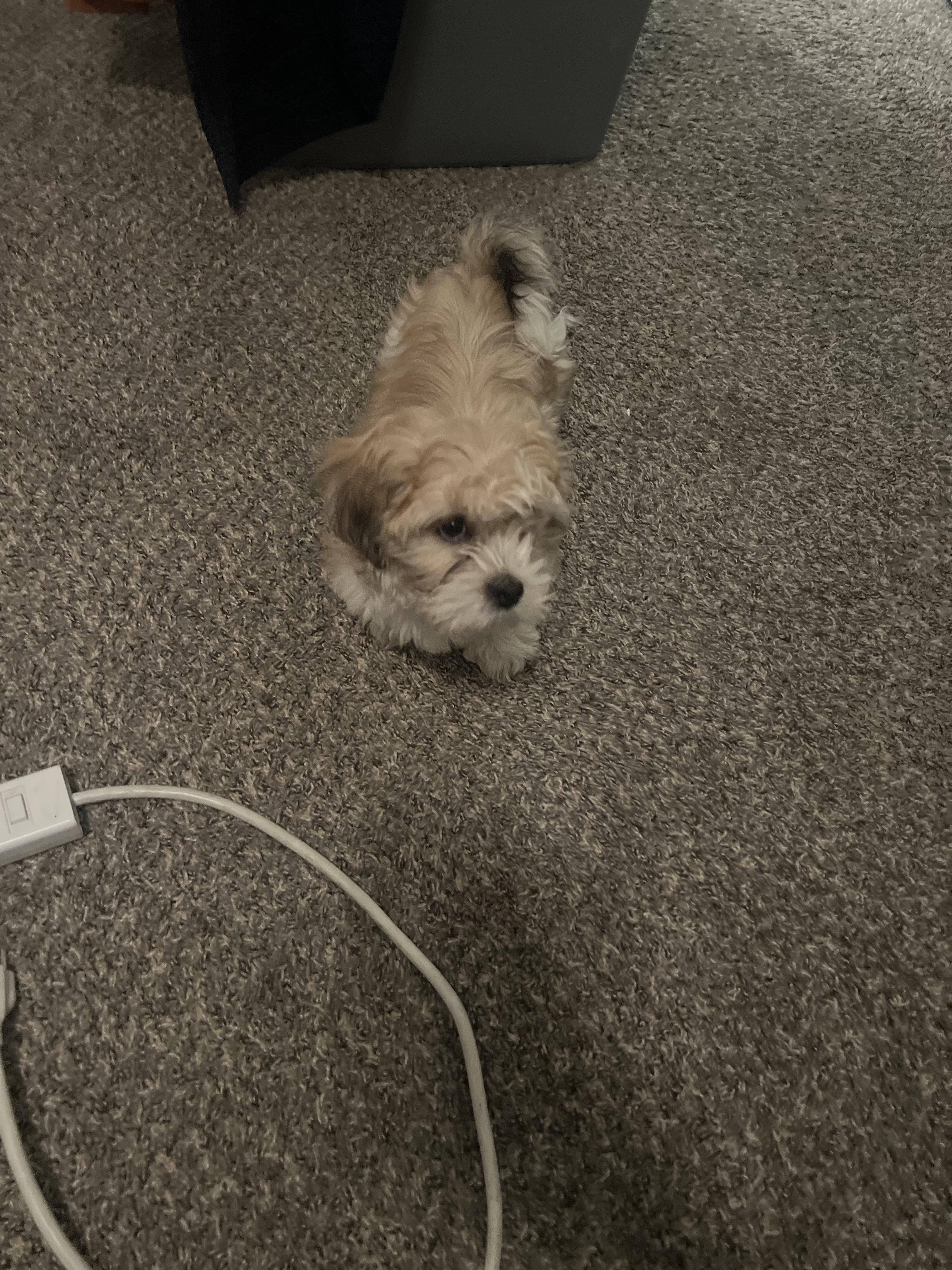 Any tips? | Scrolller