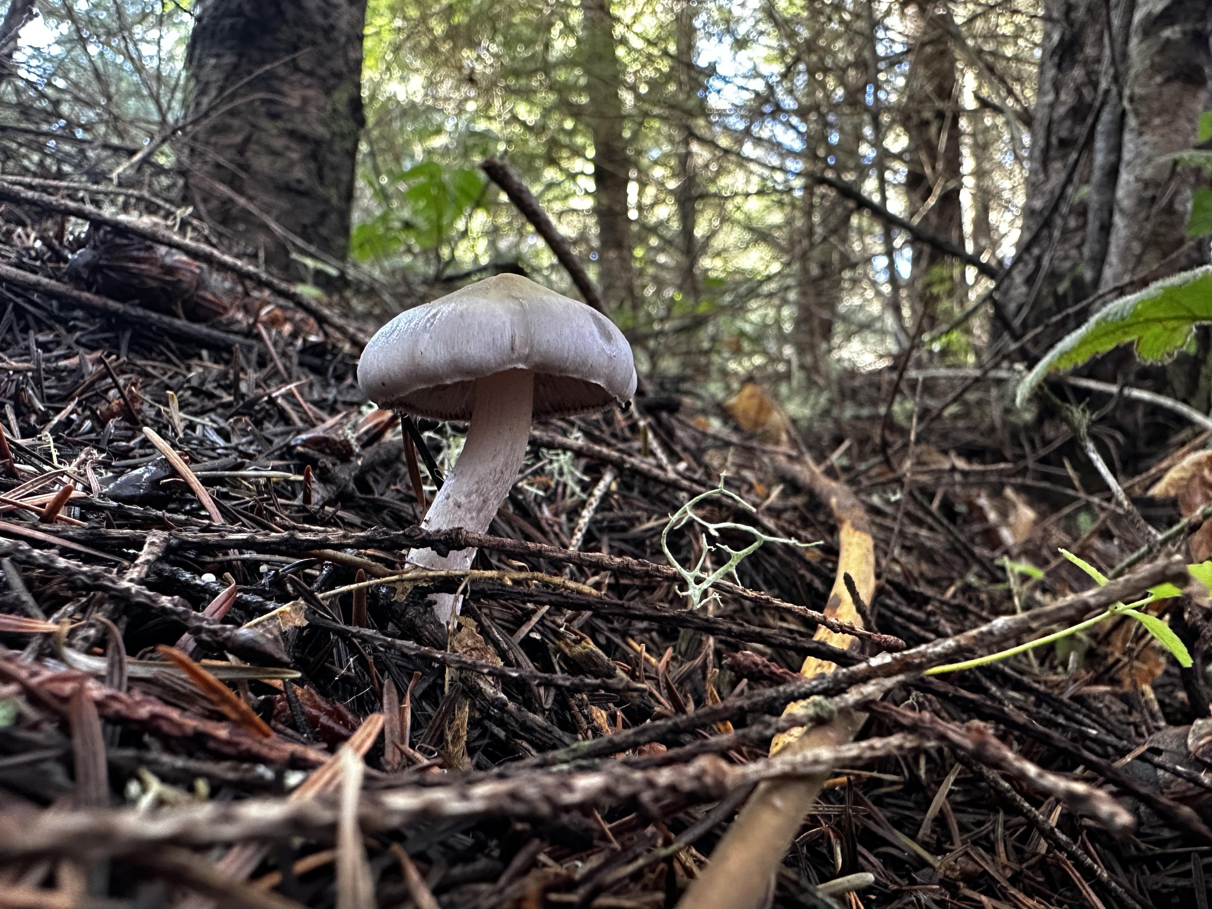 Some of todays finds | Scrolller