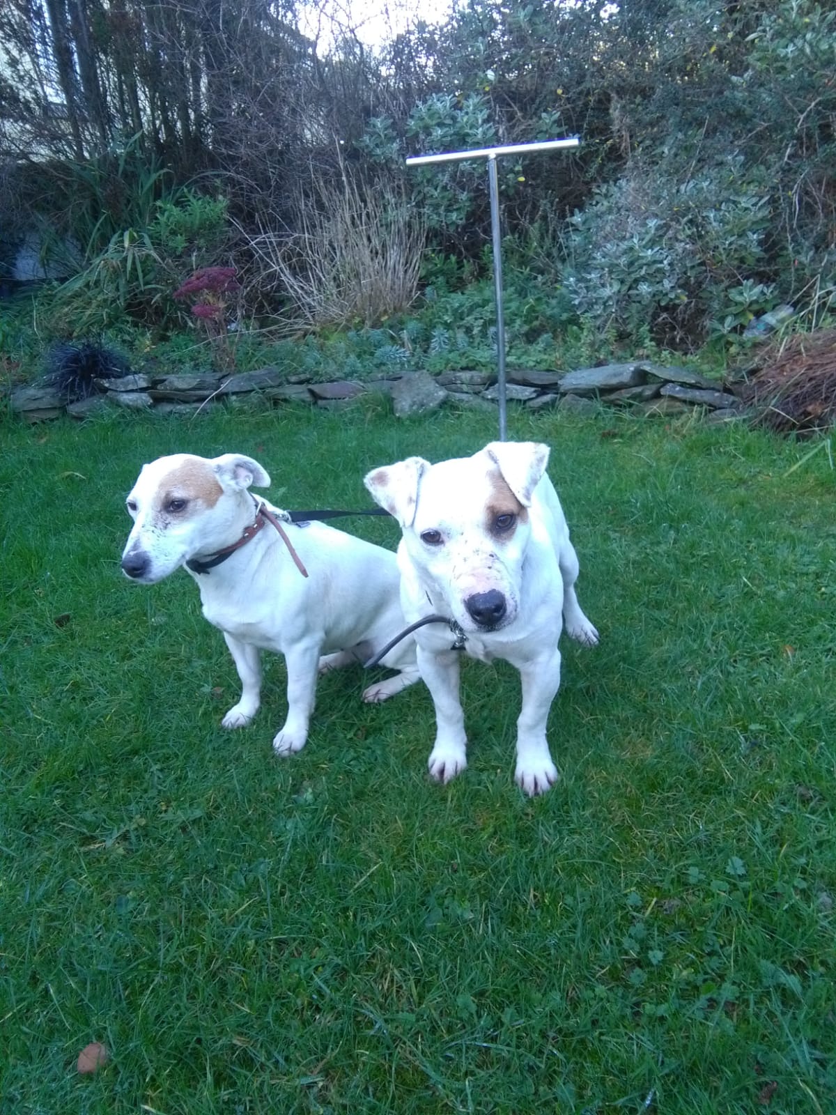 Finally retired after 13 years | Scrolller