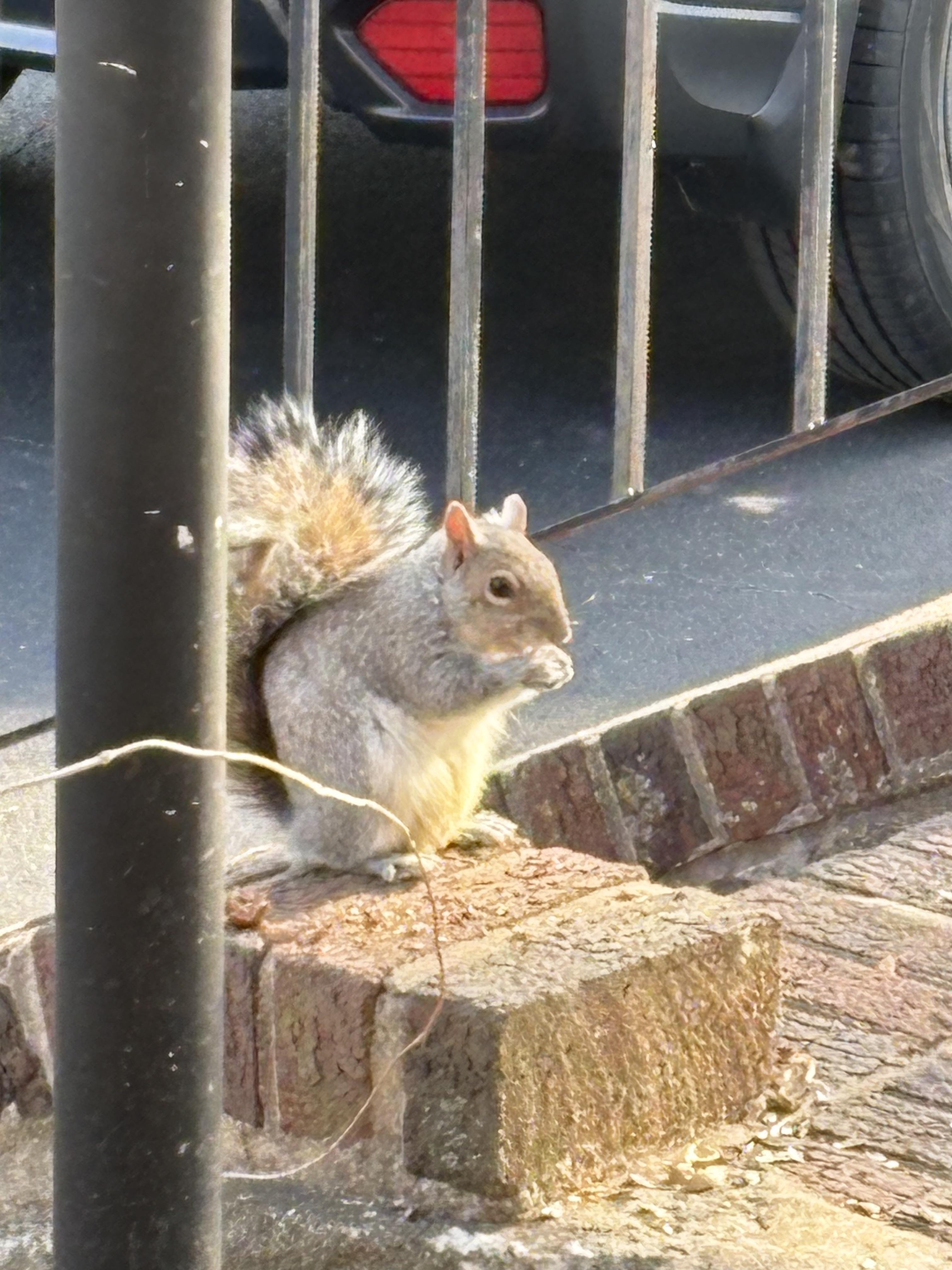 My porch chub | Scrolller