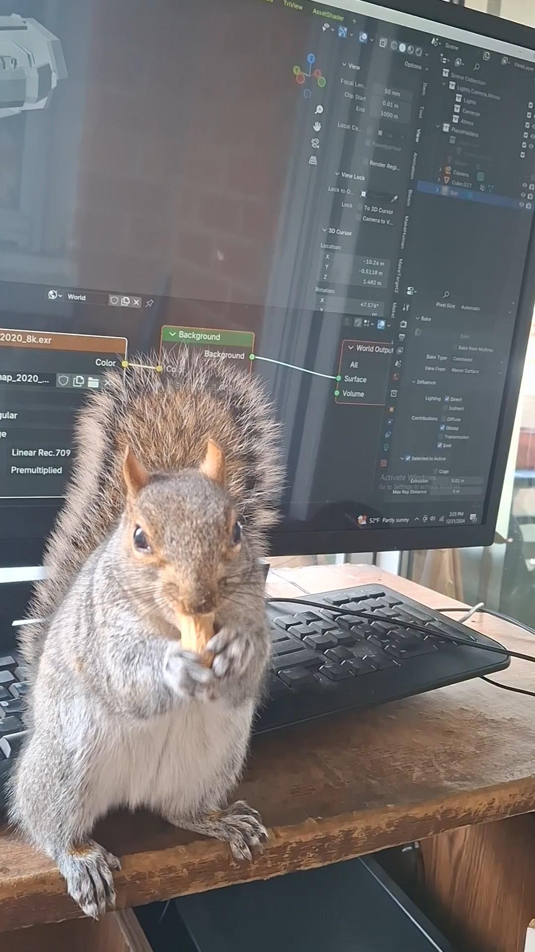 Squirrel Renders | Scrolller