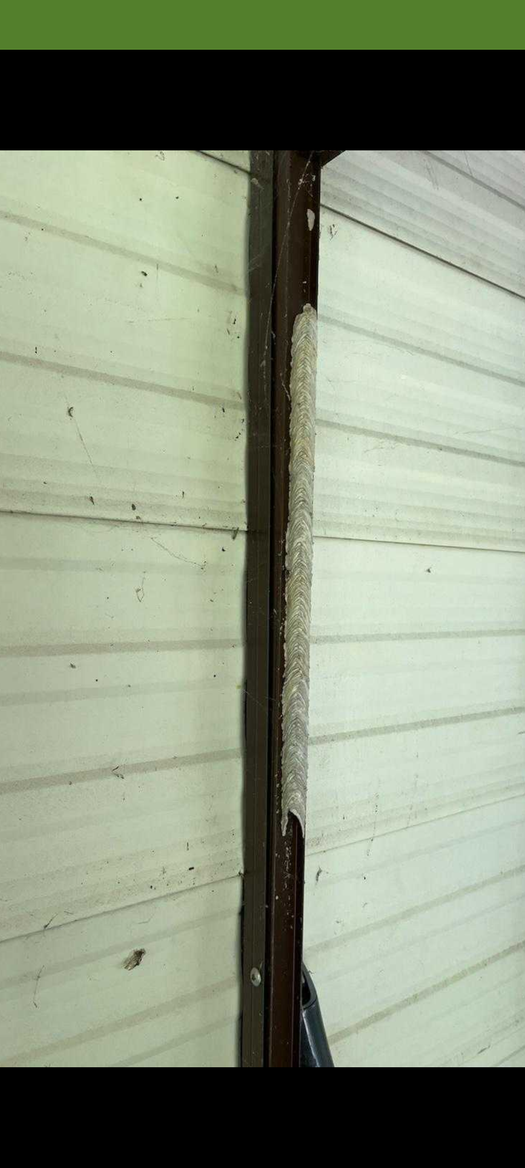 Help identifying | Scrolller