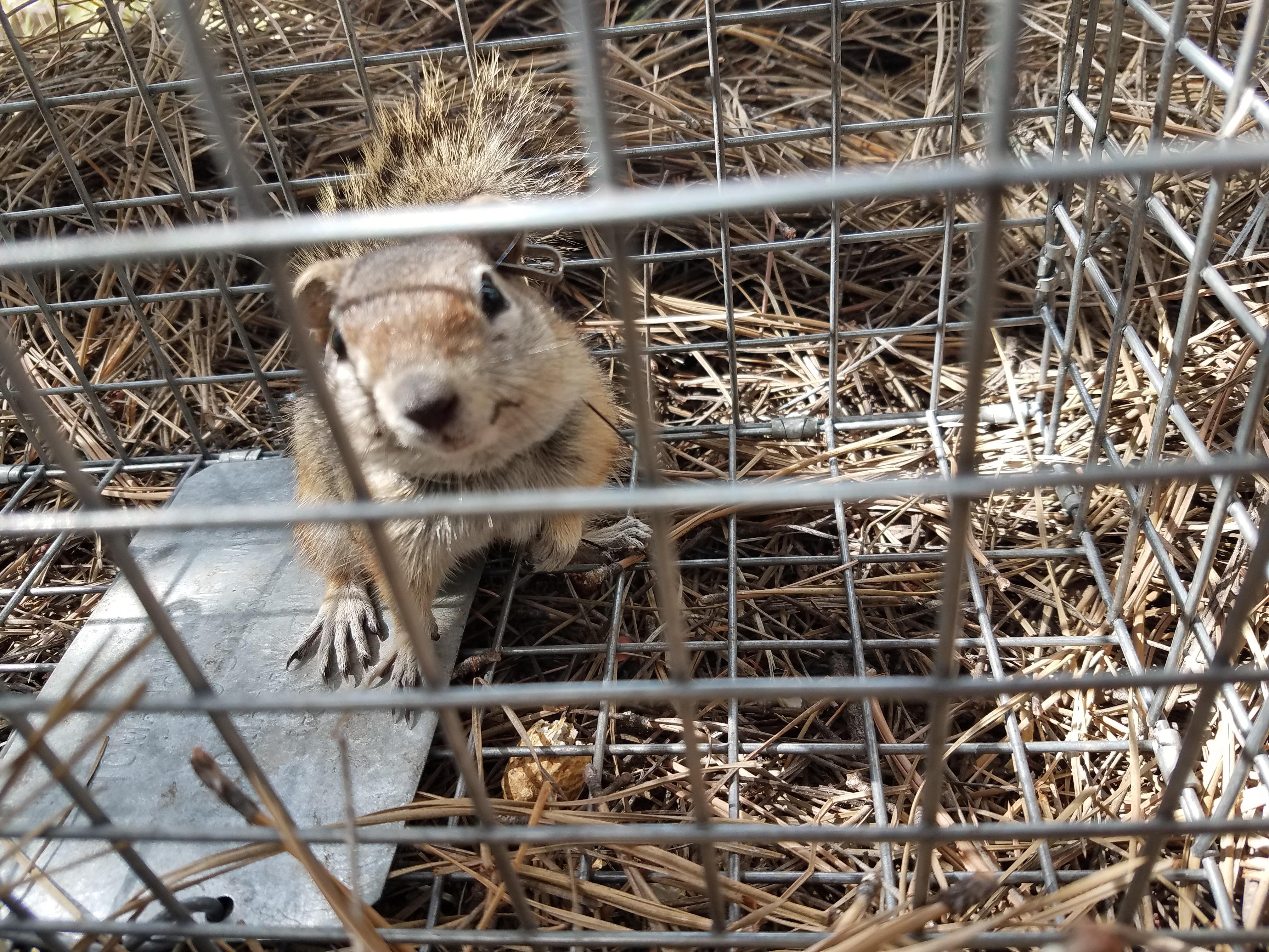 Not dead! Just sleeping ☺️ | Scrolller