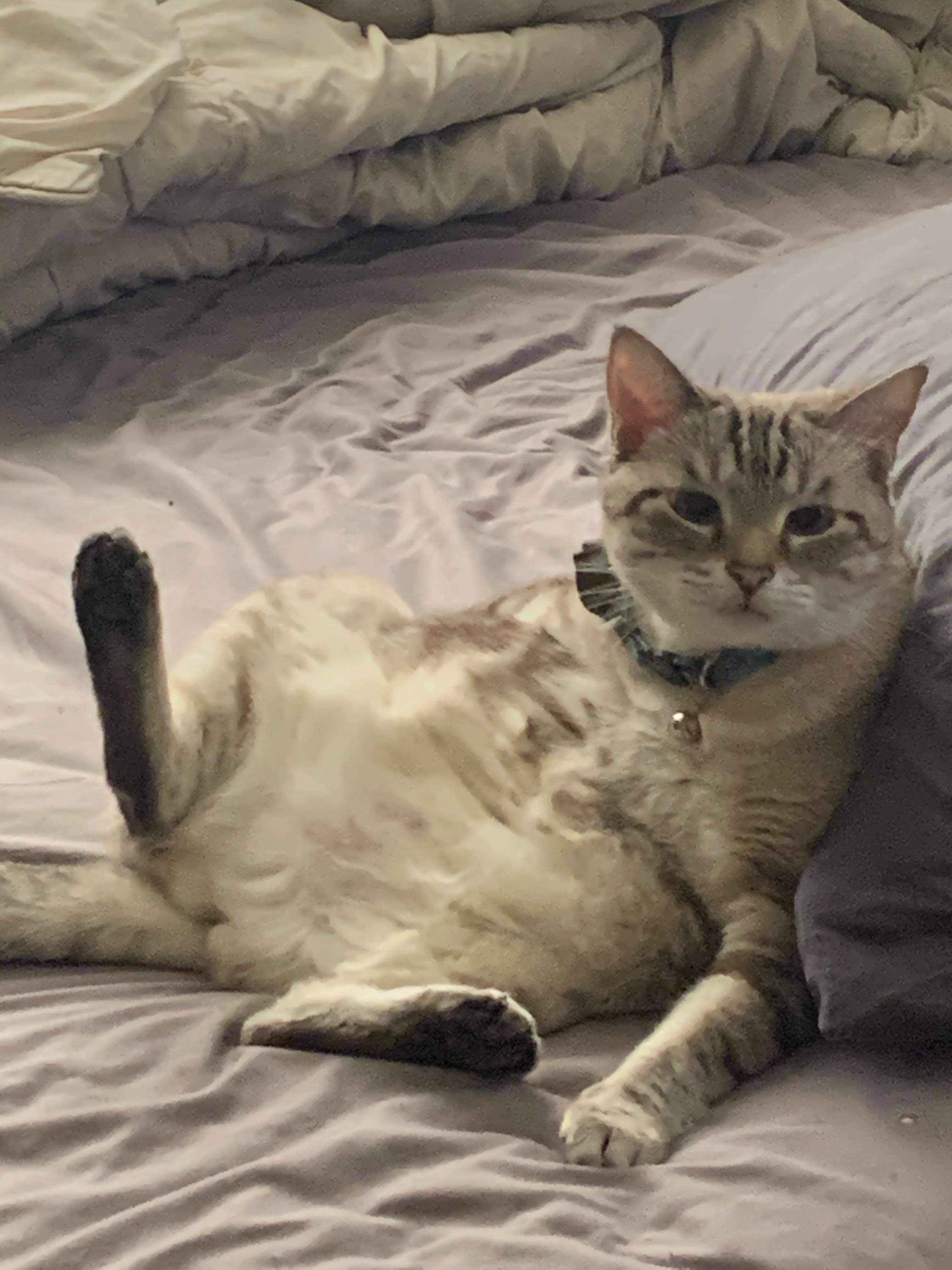 Was going through some old flash drives and thought I'd share some ...