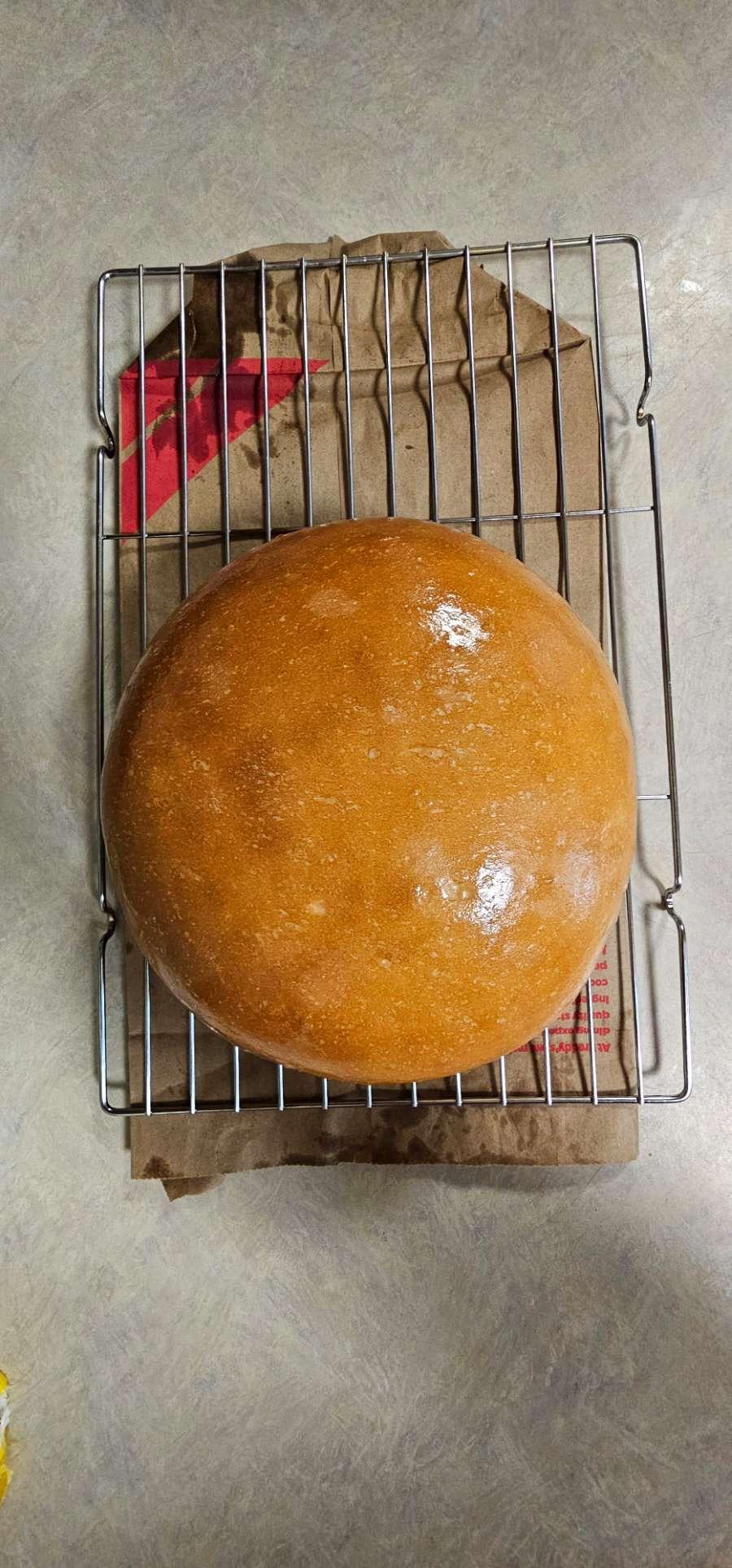 First vs second loaf | Scrolller