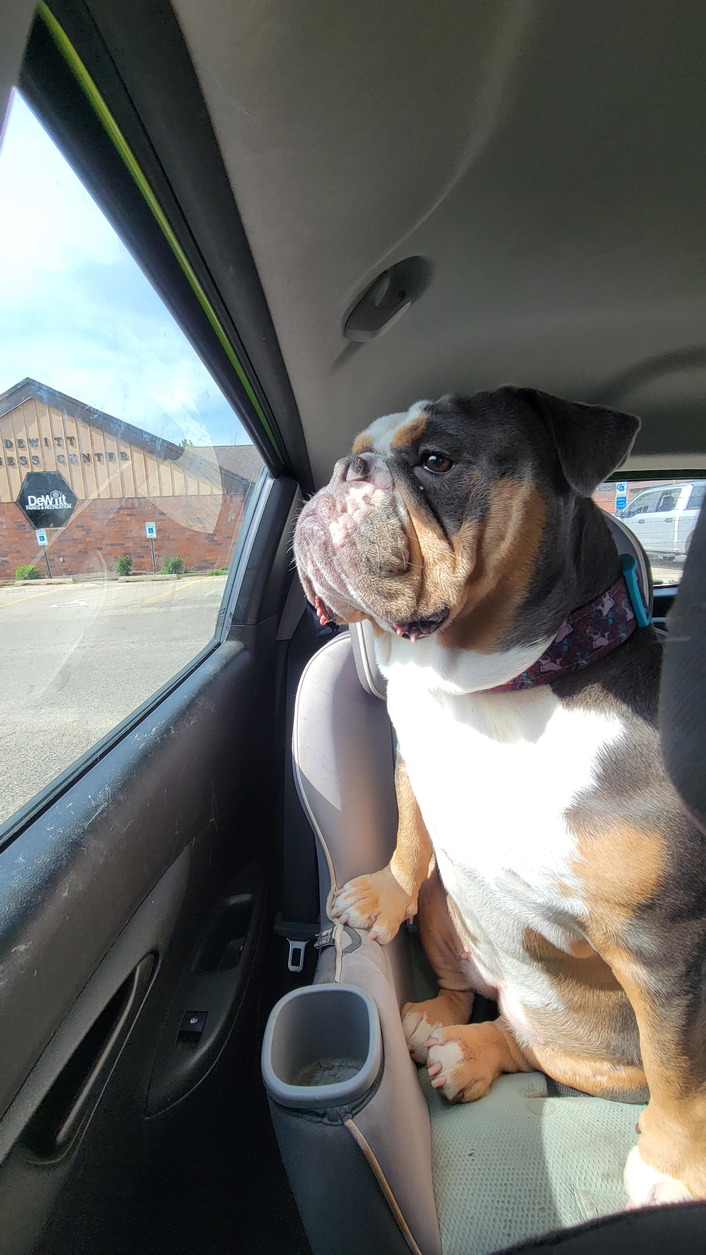 Leg assembly gone wrong | Scrolller