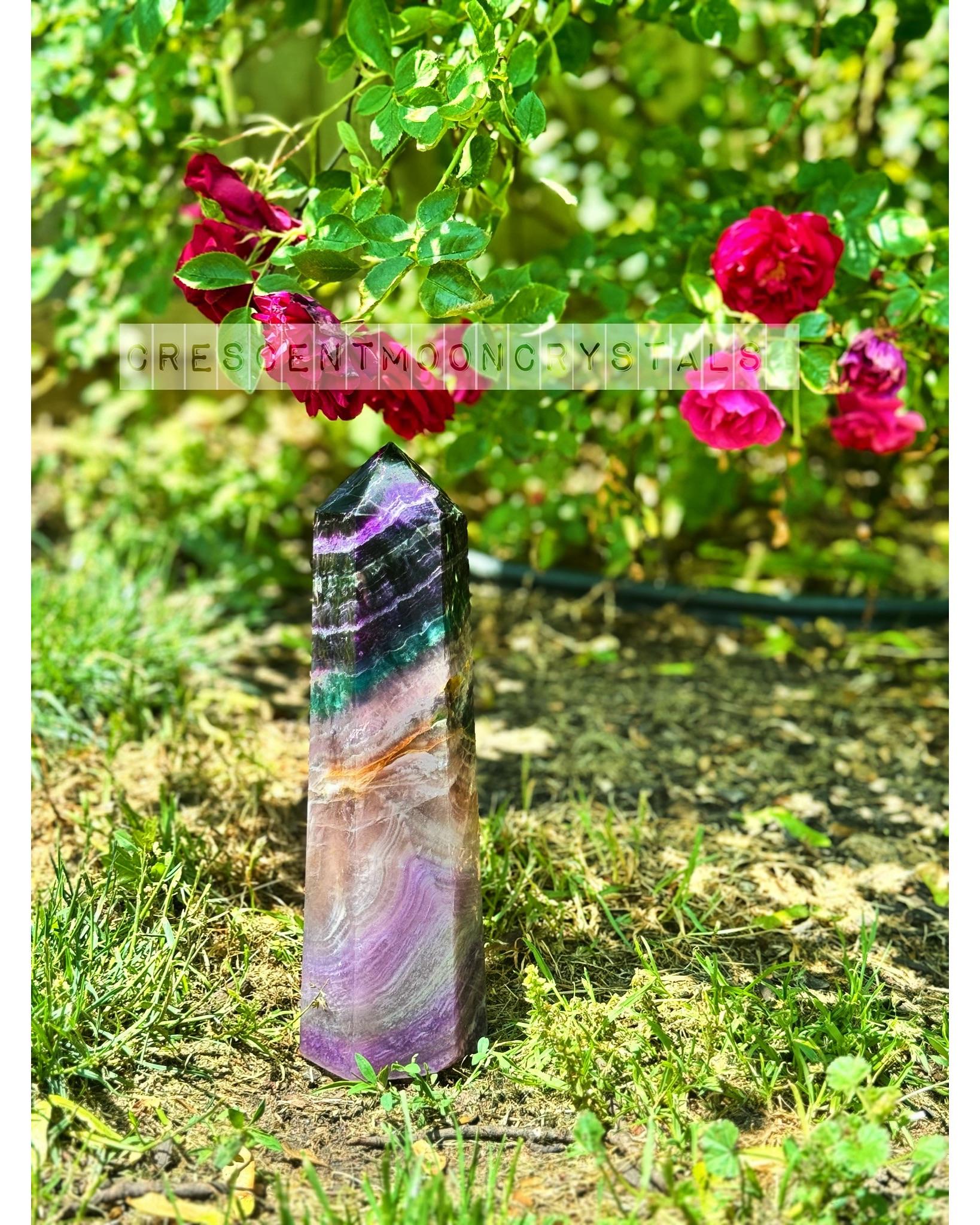 Discover more like Crystals: Etsy new items🐶🔮 Link in description and ...