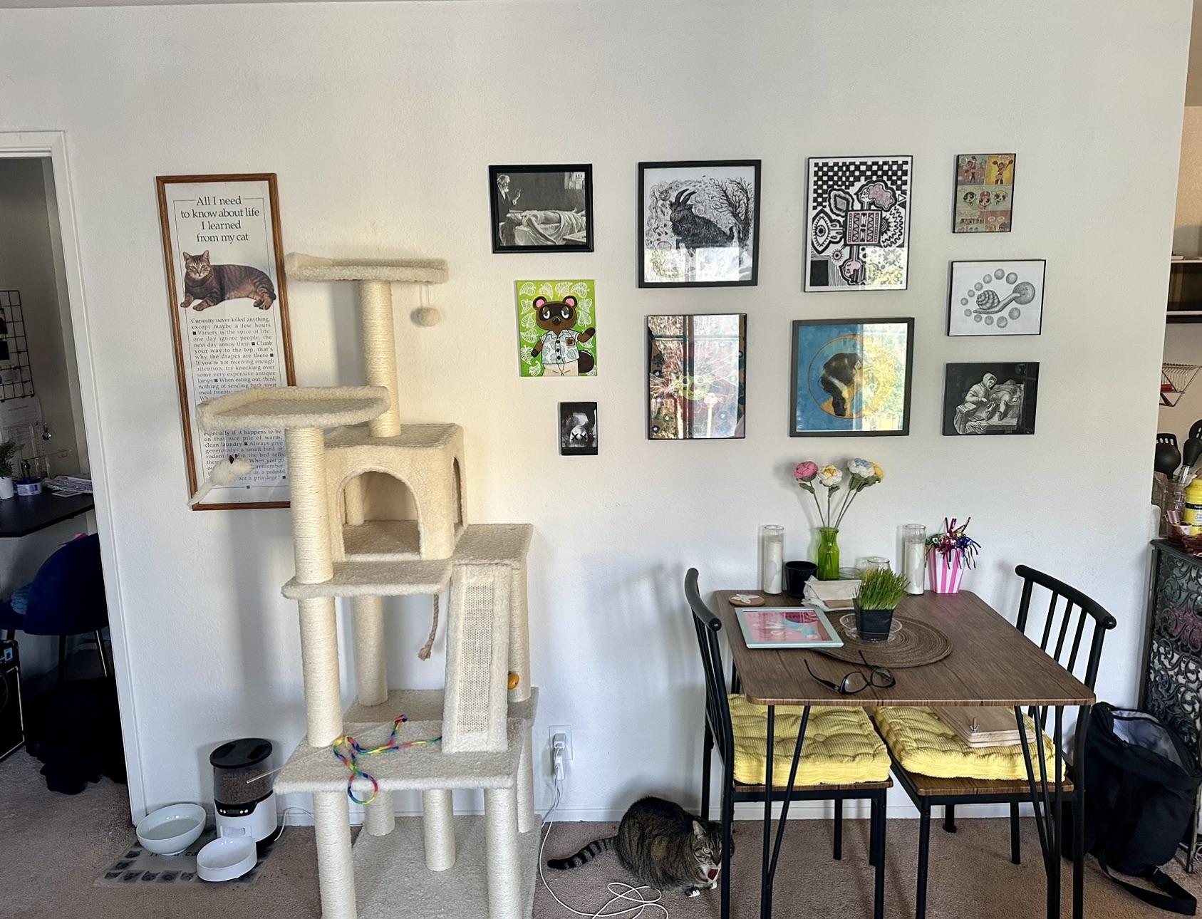 Our studio apartment | Scrolller