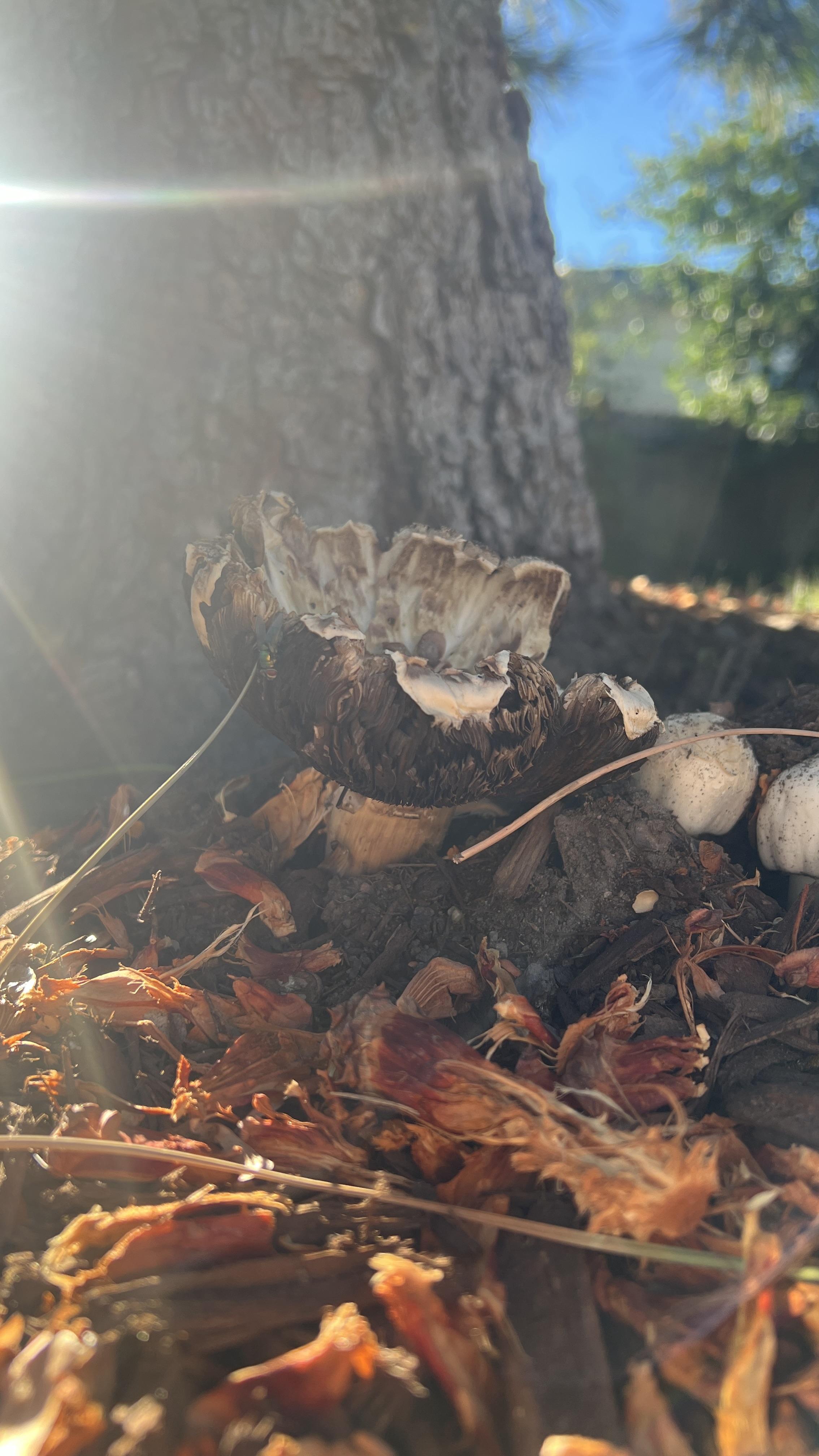 Are these all the same? | Scrolller