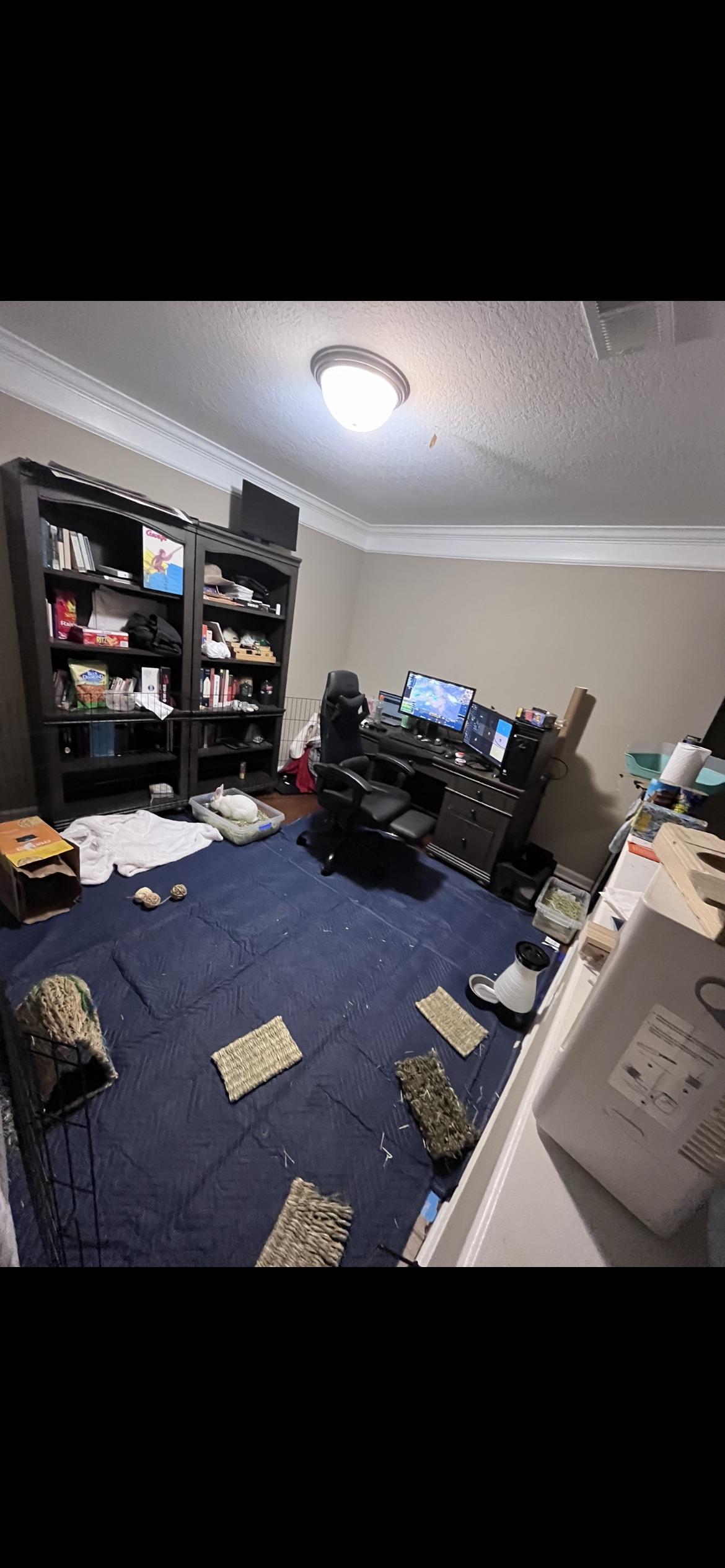 Spicy spaghetti | Scrolller