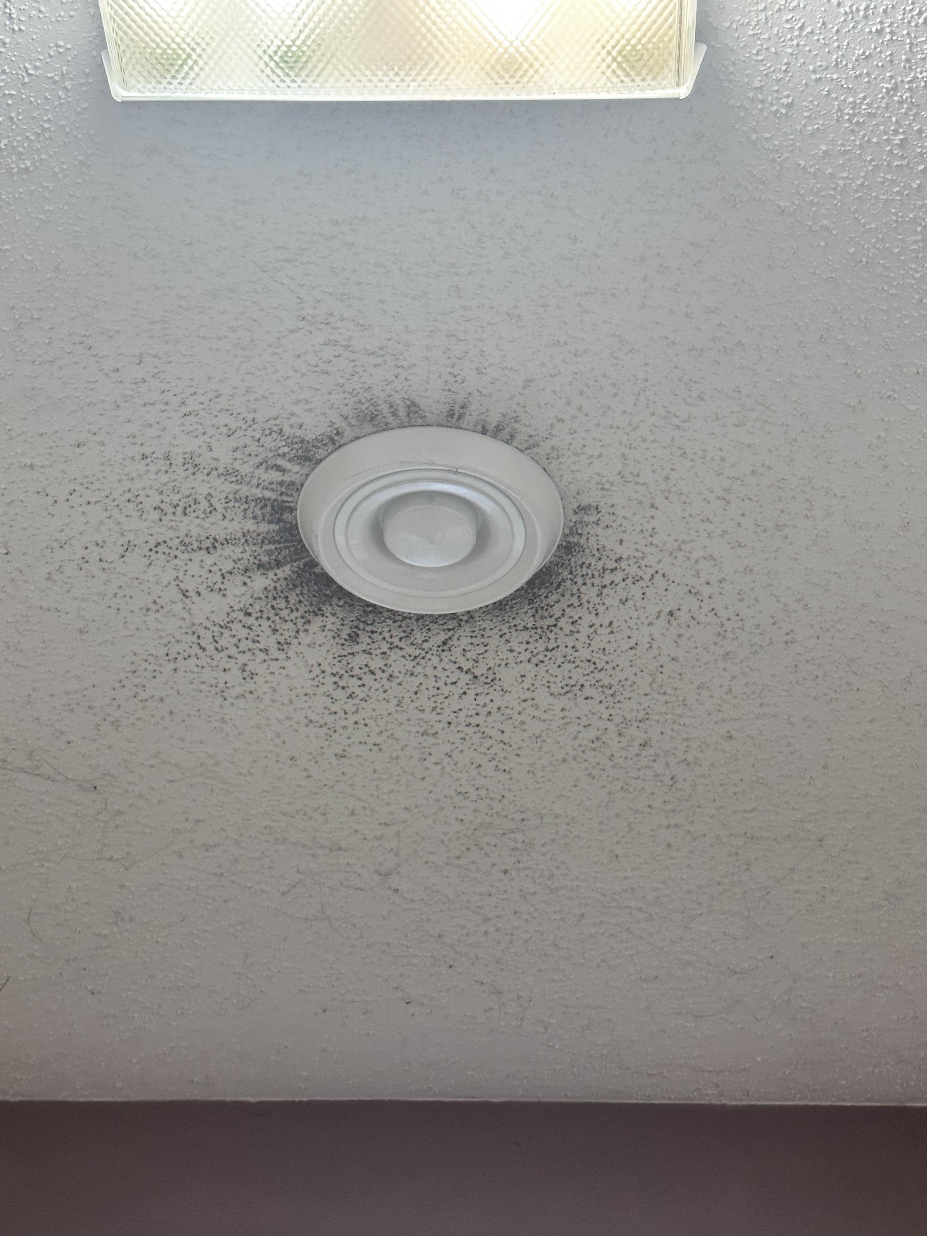 Is this mold? | Scrolller