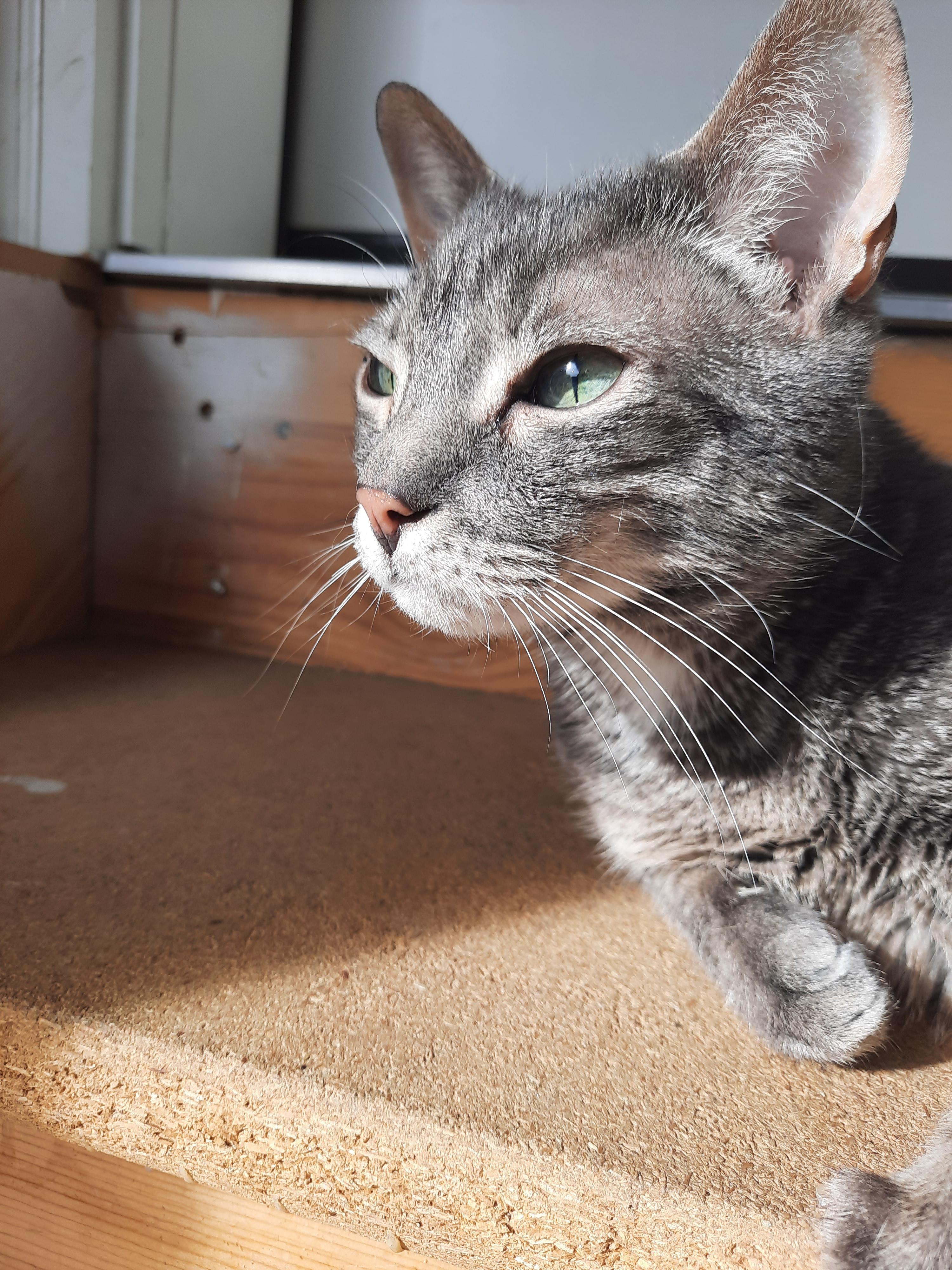 Soaking up some rays | Scrolller