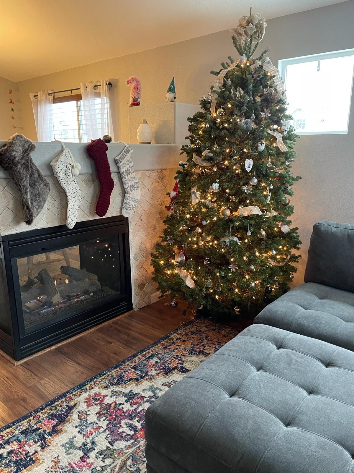 What is this wall in my basement? | Scrolller