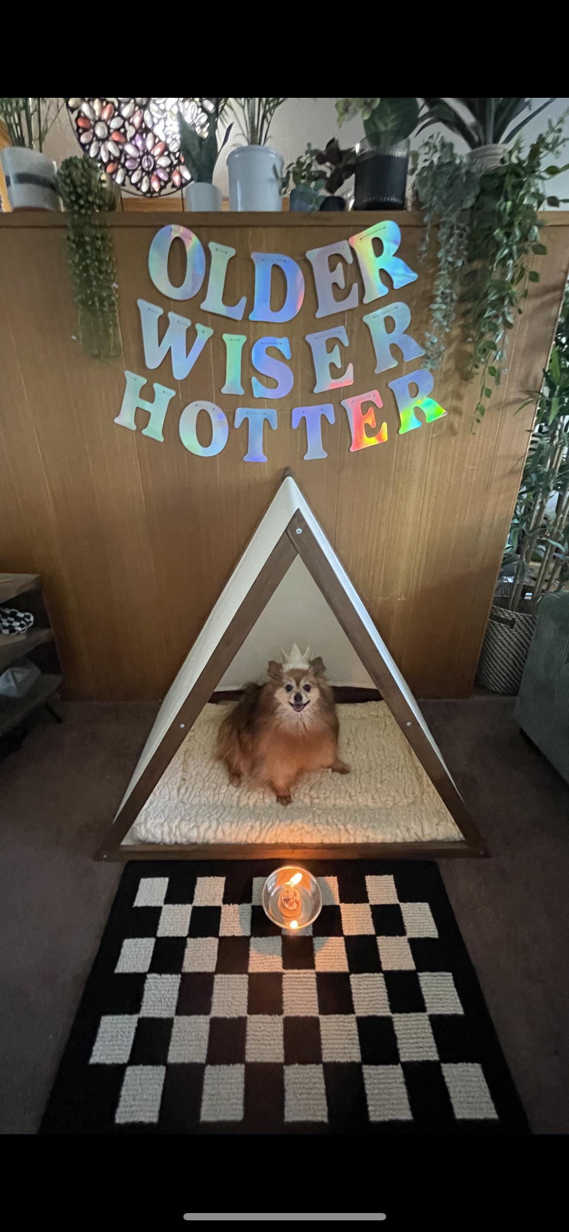 Happy Birthday Chewy! | Scrolller