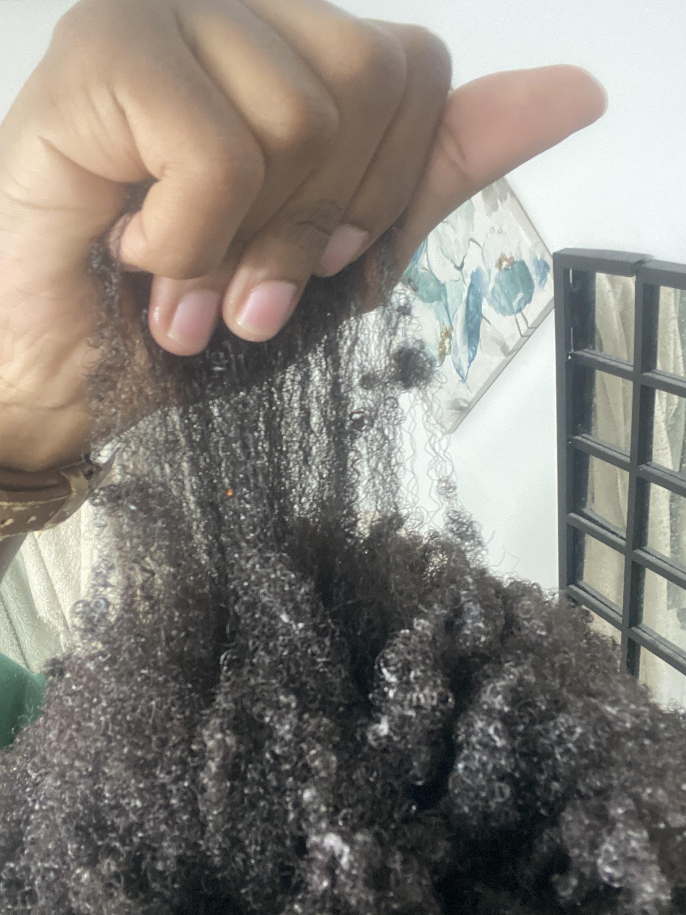 How To Tame The Beast | Scrolller