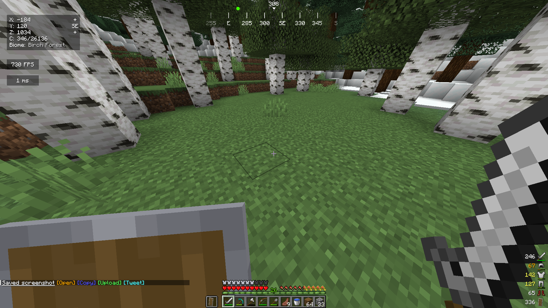 Birch forest inside Grove biome | Scrolller