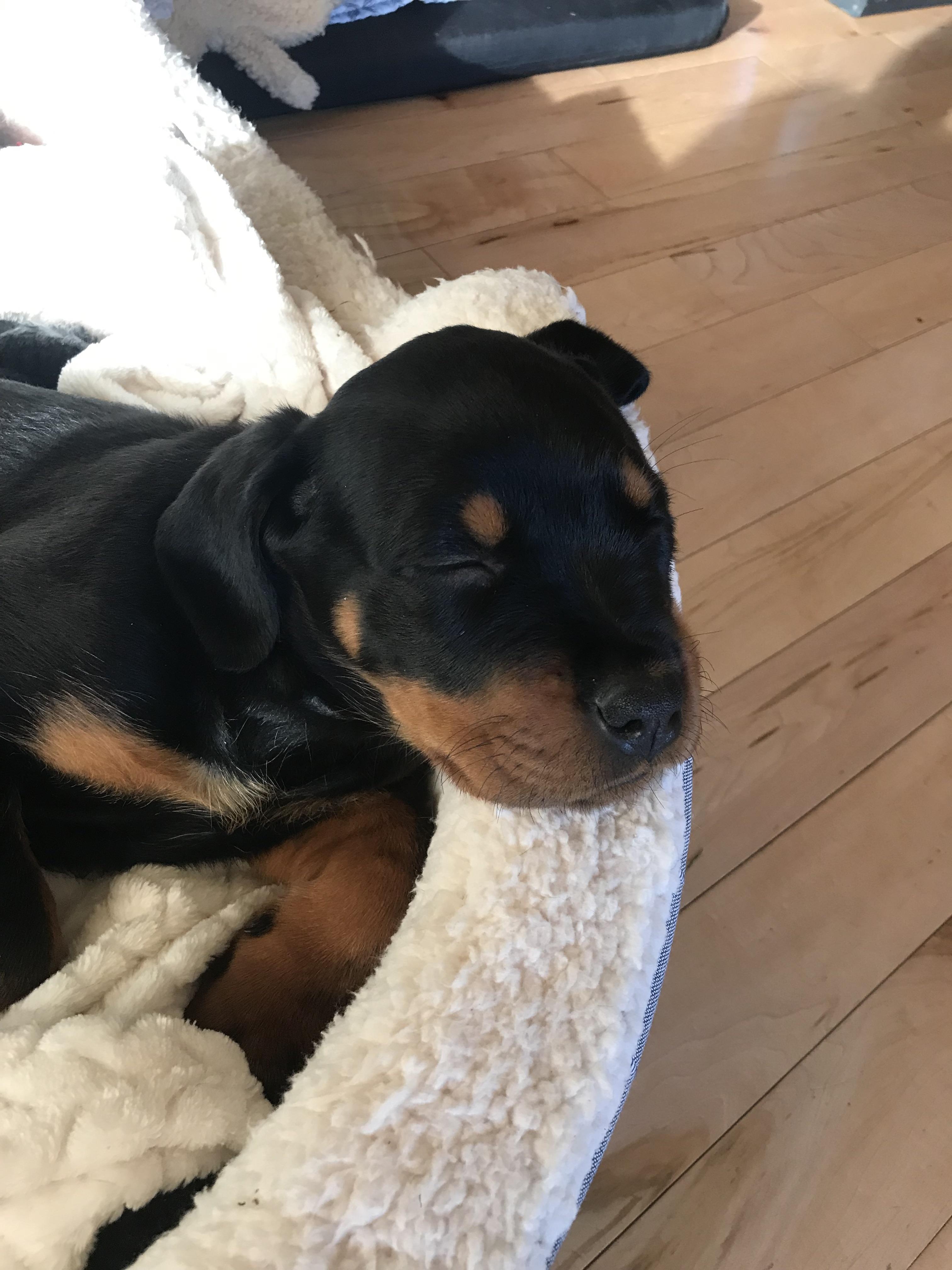 Meet Ruthless, we’ll call her Ruthie | Scrolller