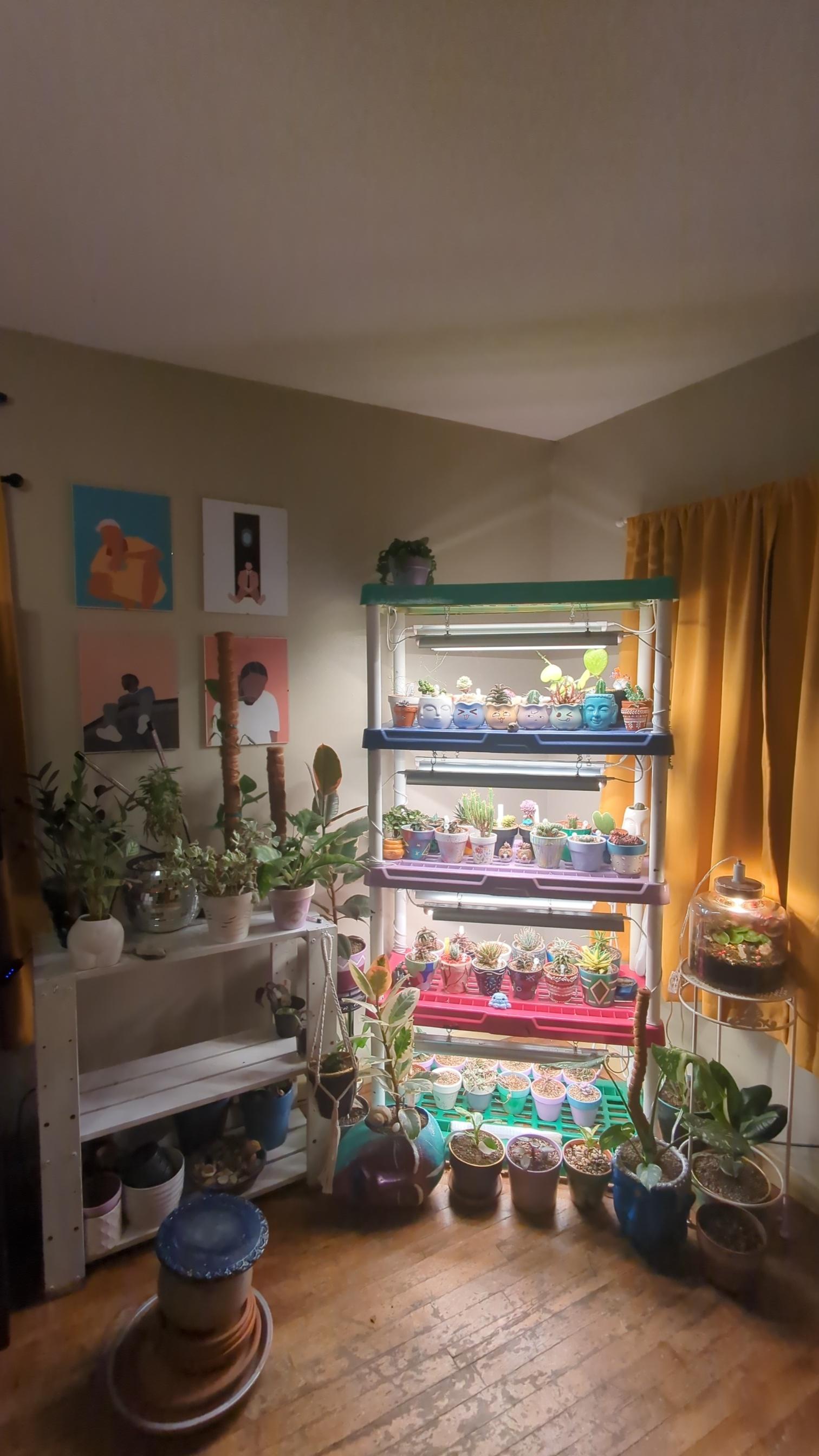 My collection (obsession) | Scrolller