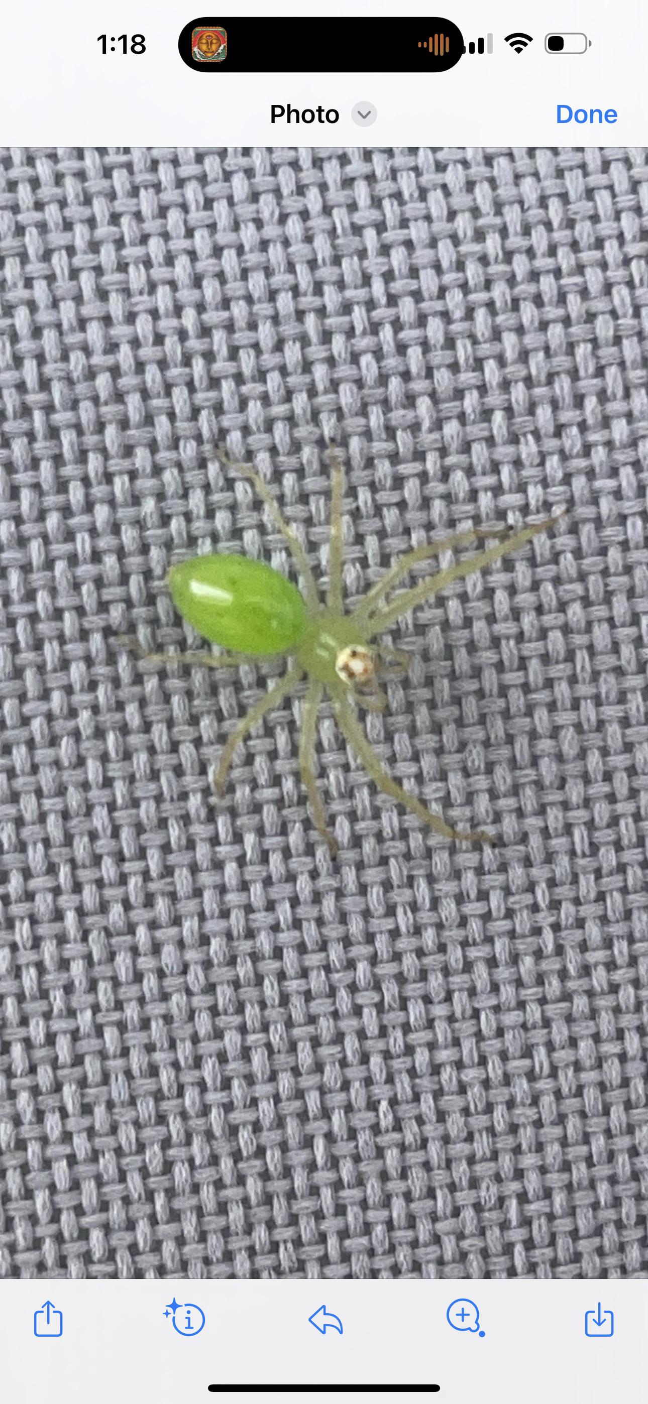 Discover more like Forbiddensnacks: Forbidden Grape and Related Content | Scrolller