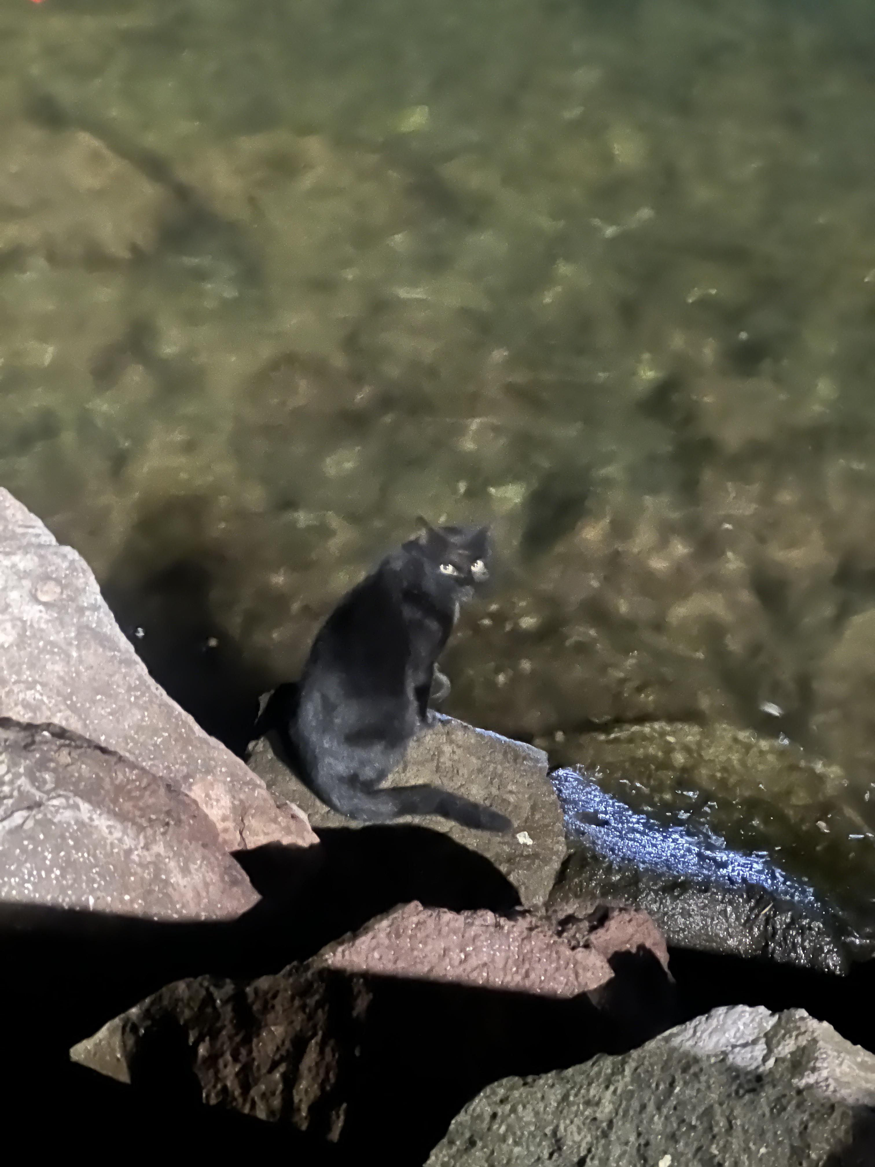 Oceanic void | Scrolller