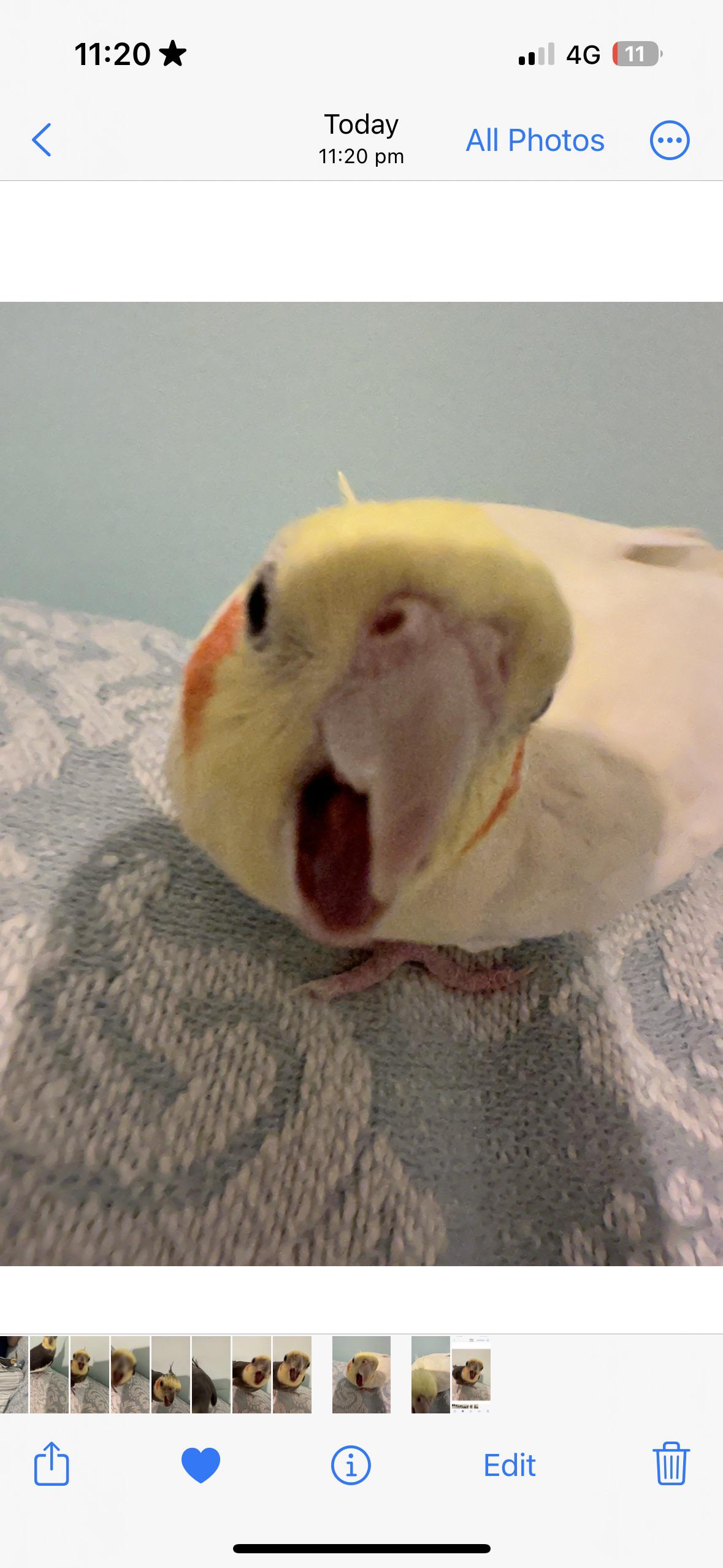 Weird creatures | Scrolller