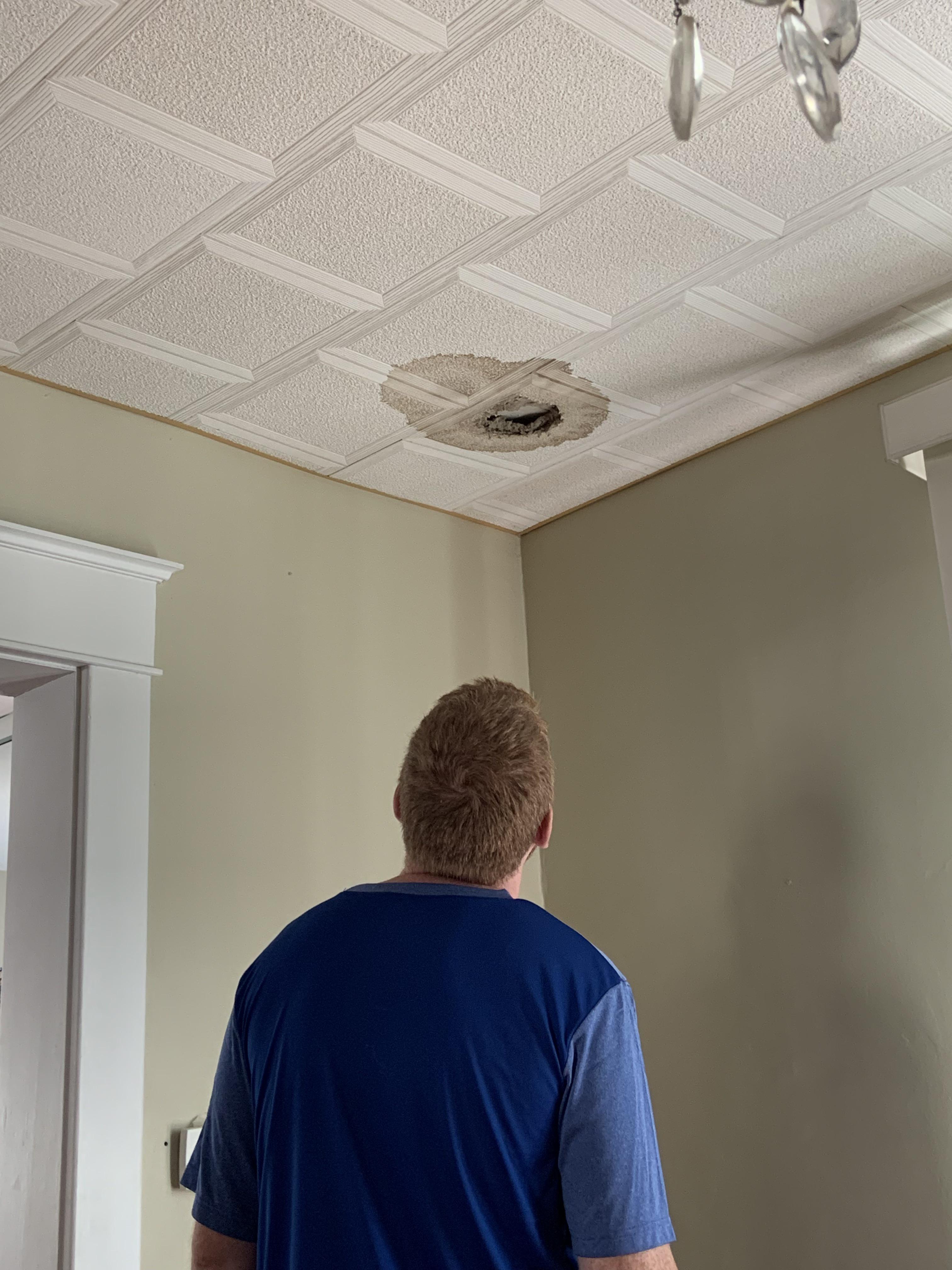 Ceiling Leaking and Moldy | Scrolller