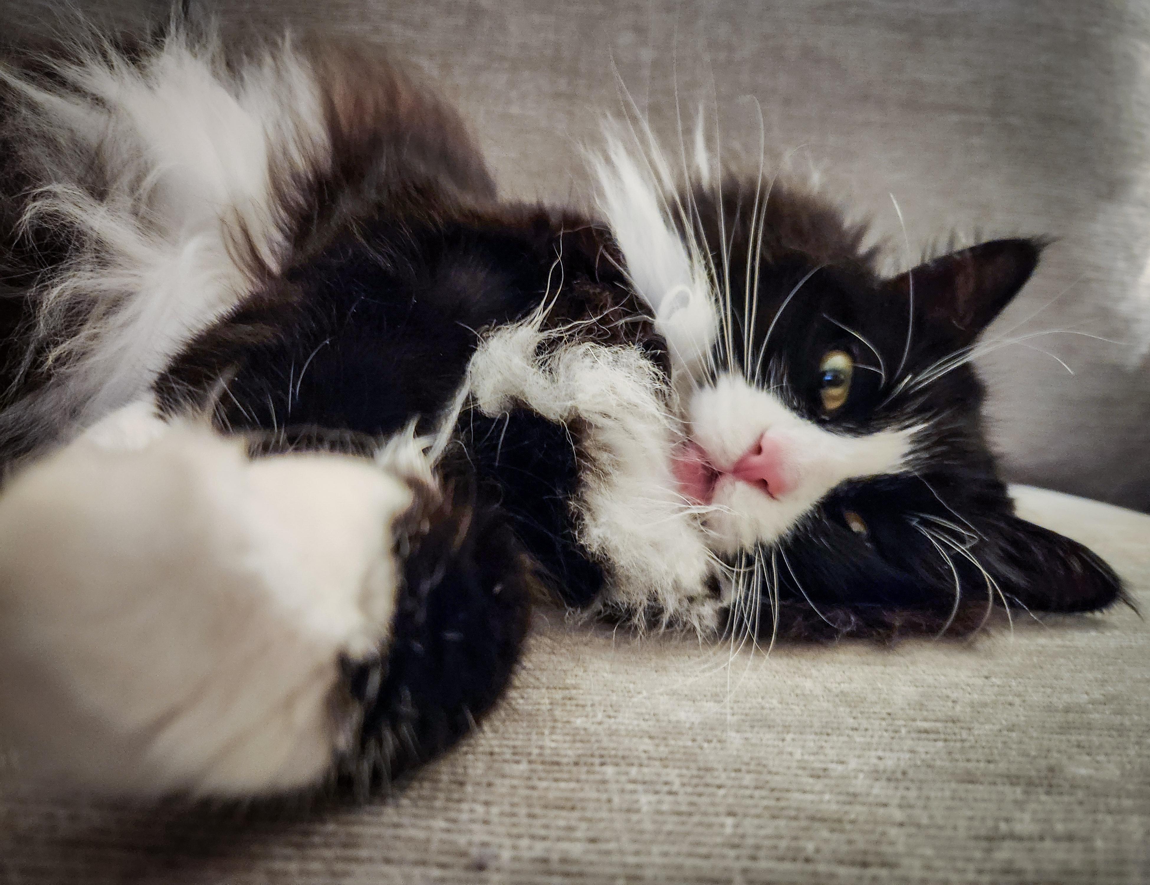 Meet Penelope Jerome Garcia | Scrolller