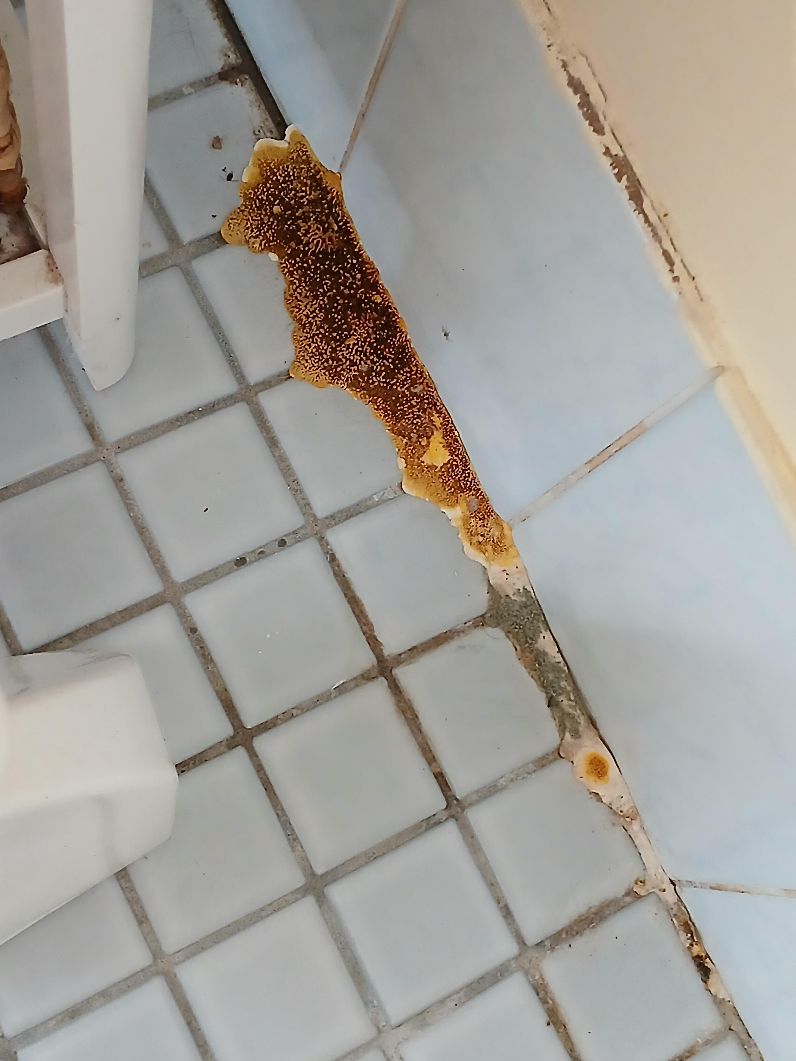 What is this blob? | Scrolller