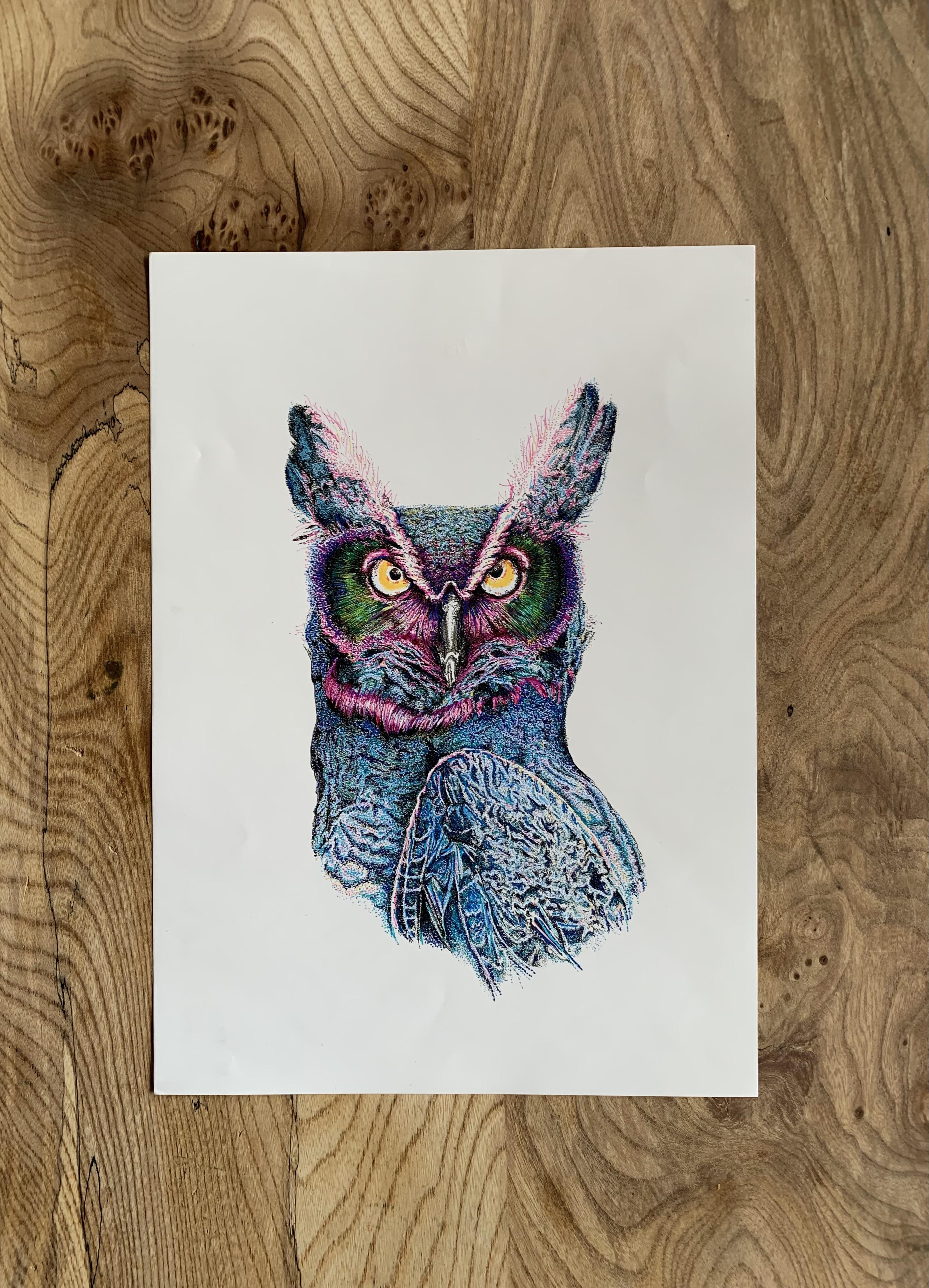 Psychedelic Owl Pointillism Art | Scrolller