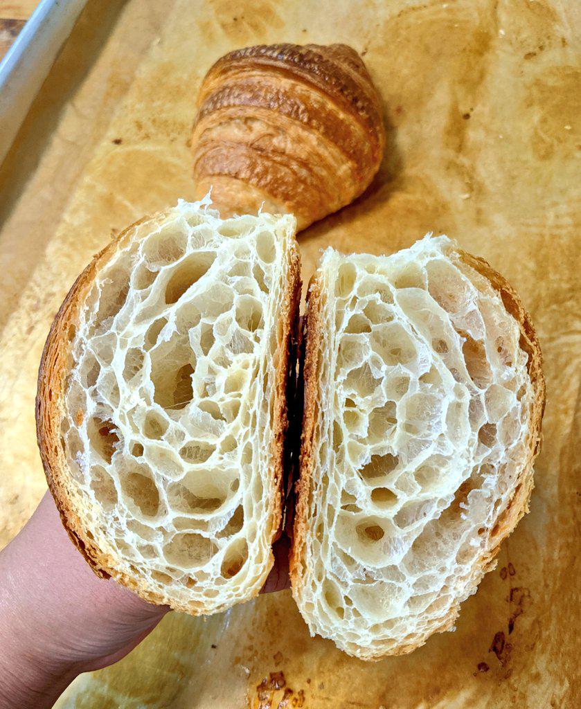 He's a chonky boi | Scrolller