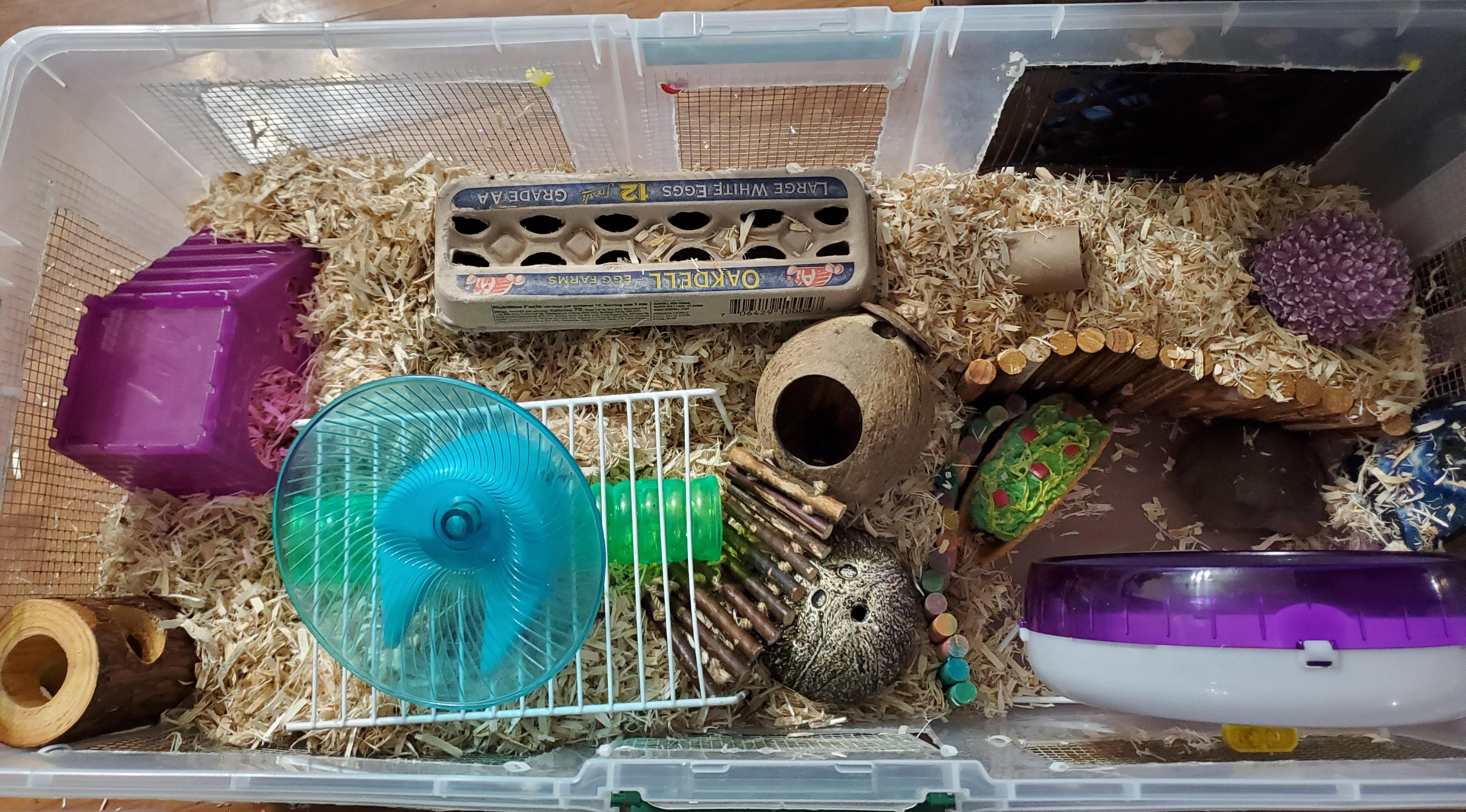 Enclosure Setup | Scrolller