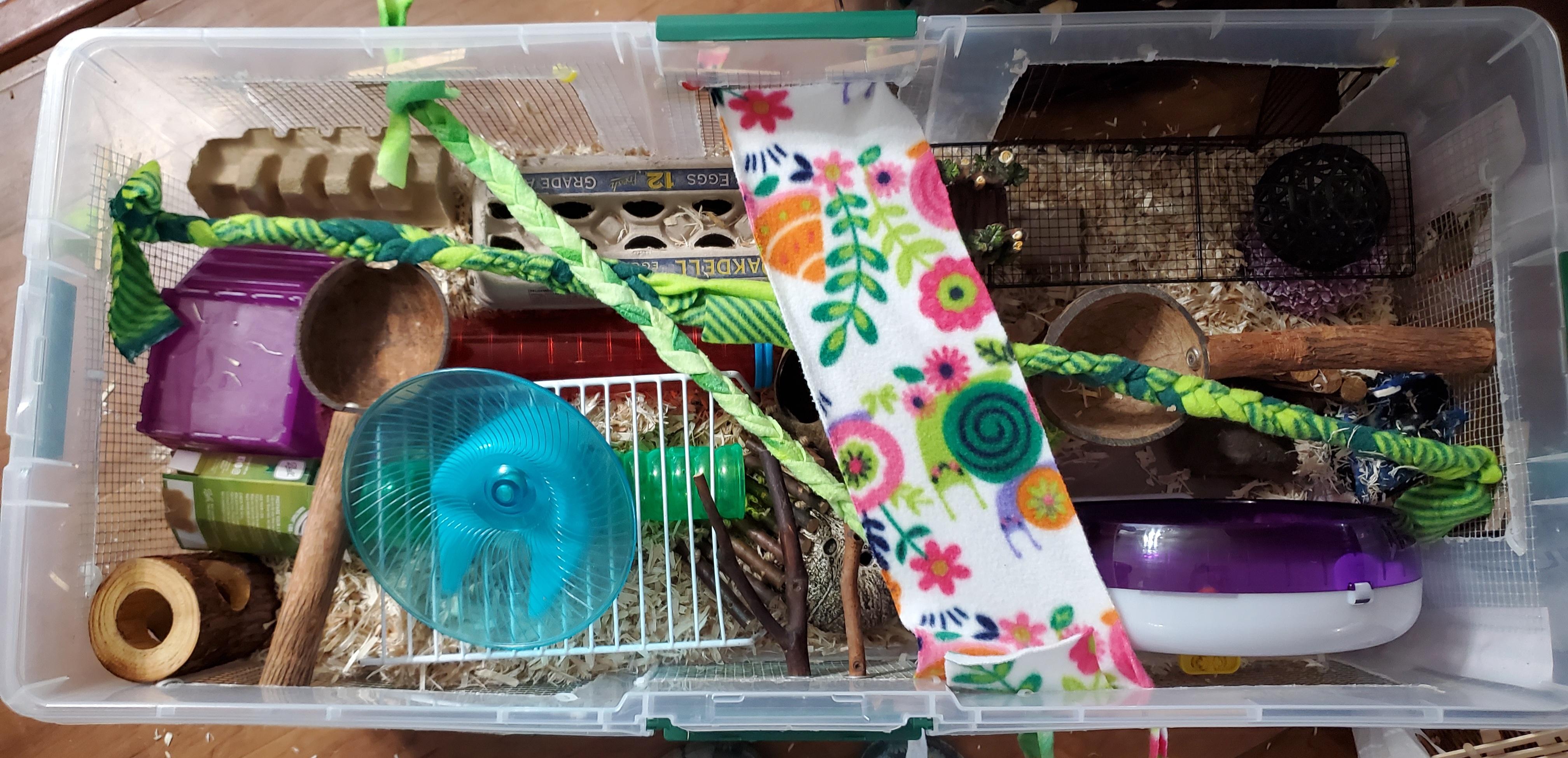 Enclosure Setup | Scrolller