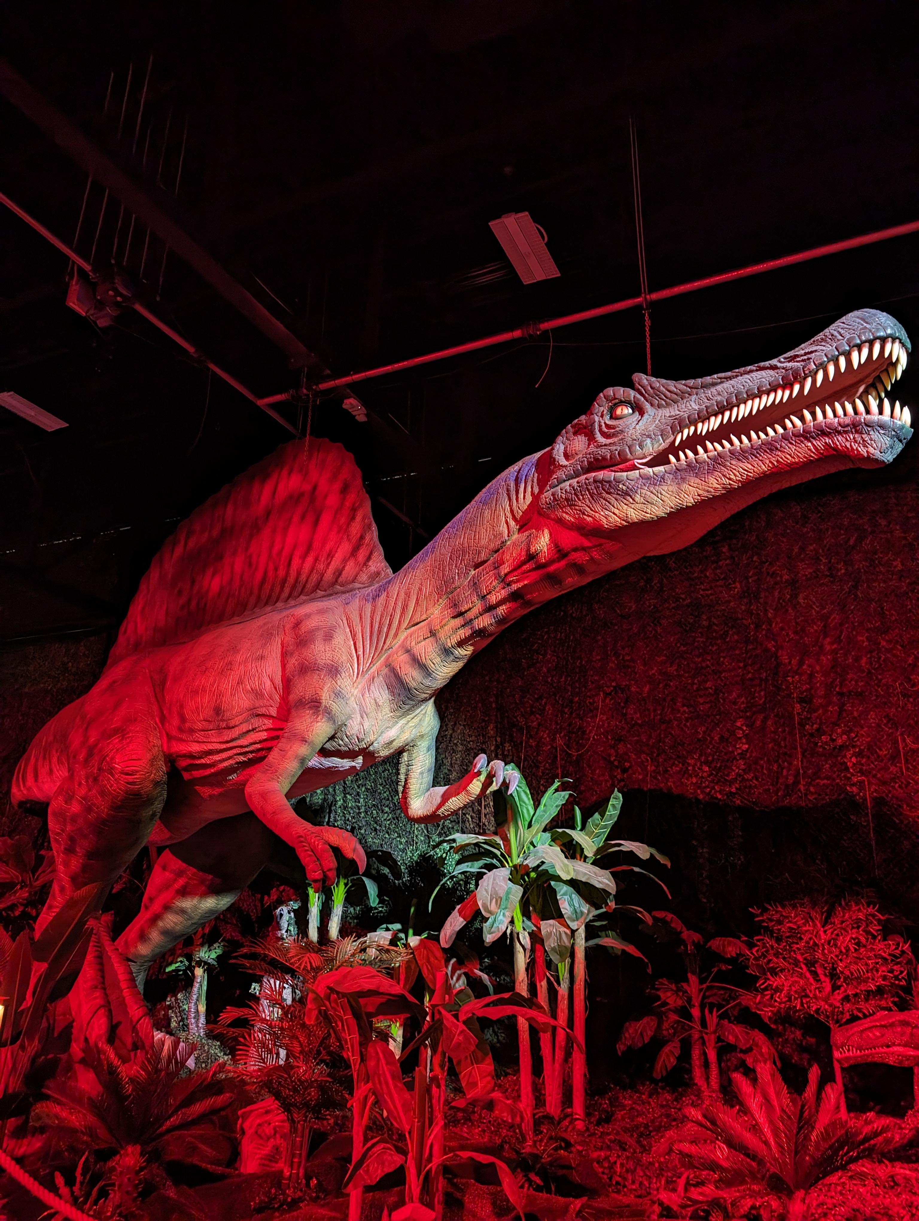 Happy dinosaur day! | Scrolller