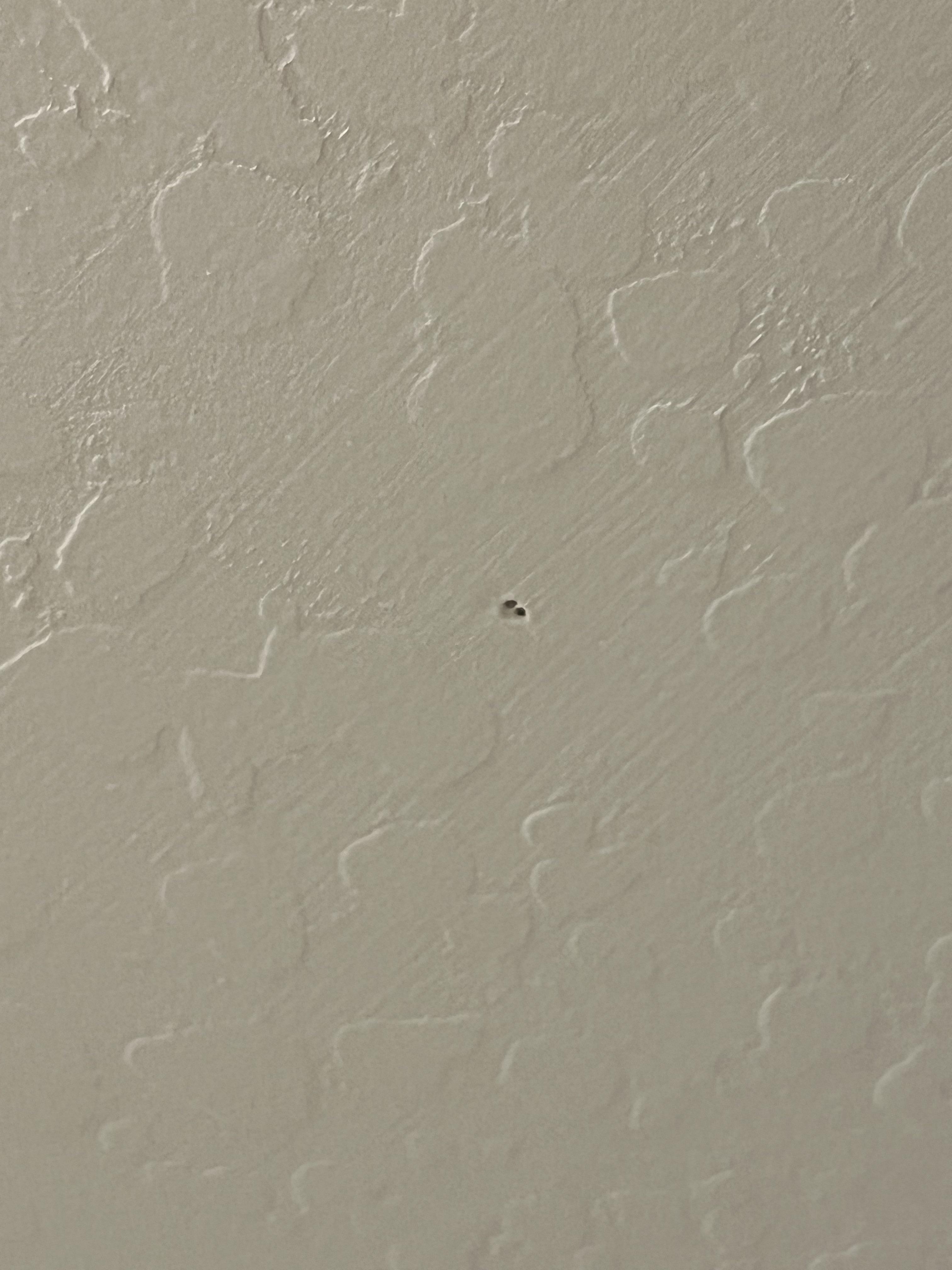 Help! Are there termite holes? | Scrolller