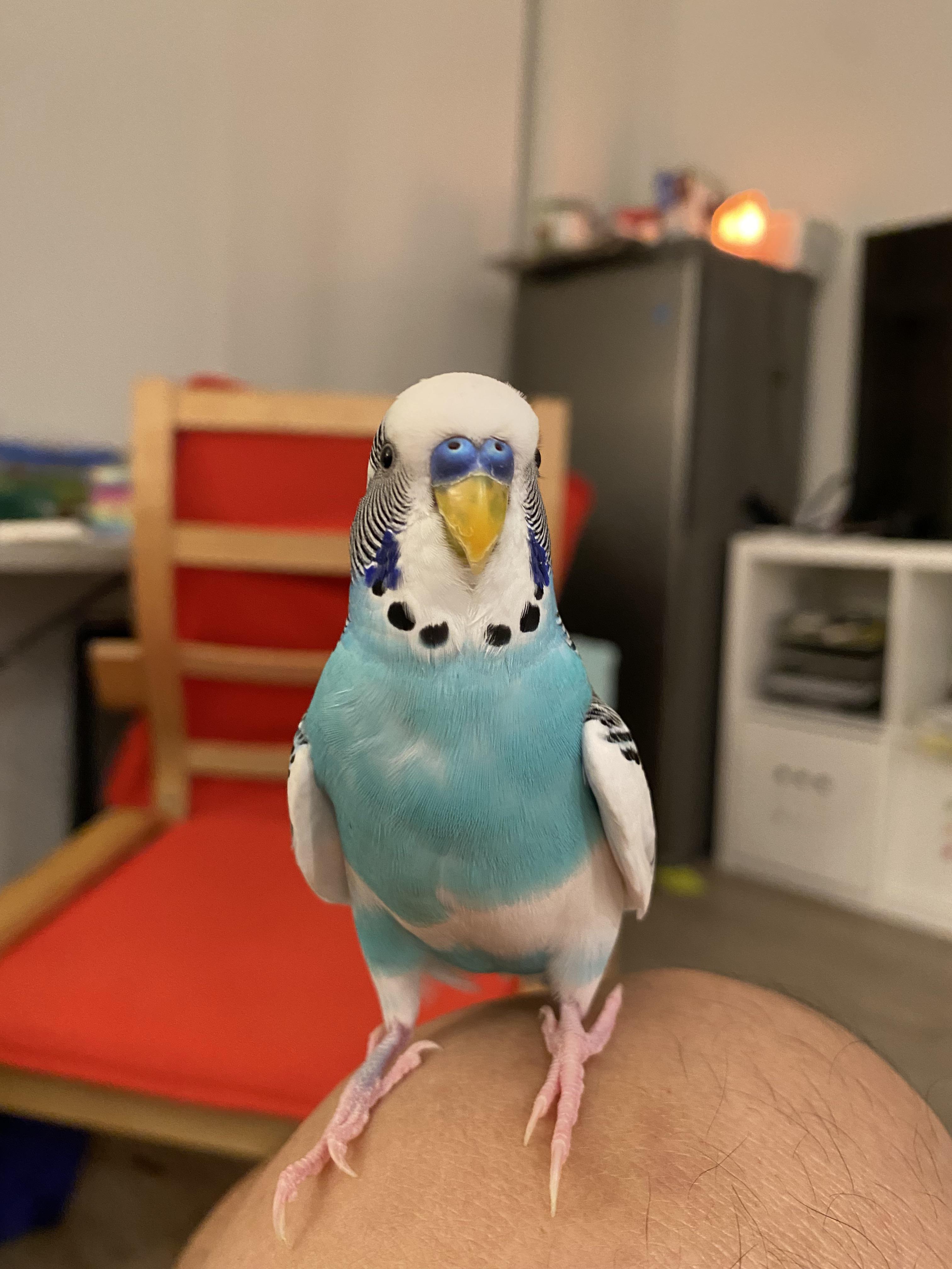 Airplane Mode: Activate | Scrolller