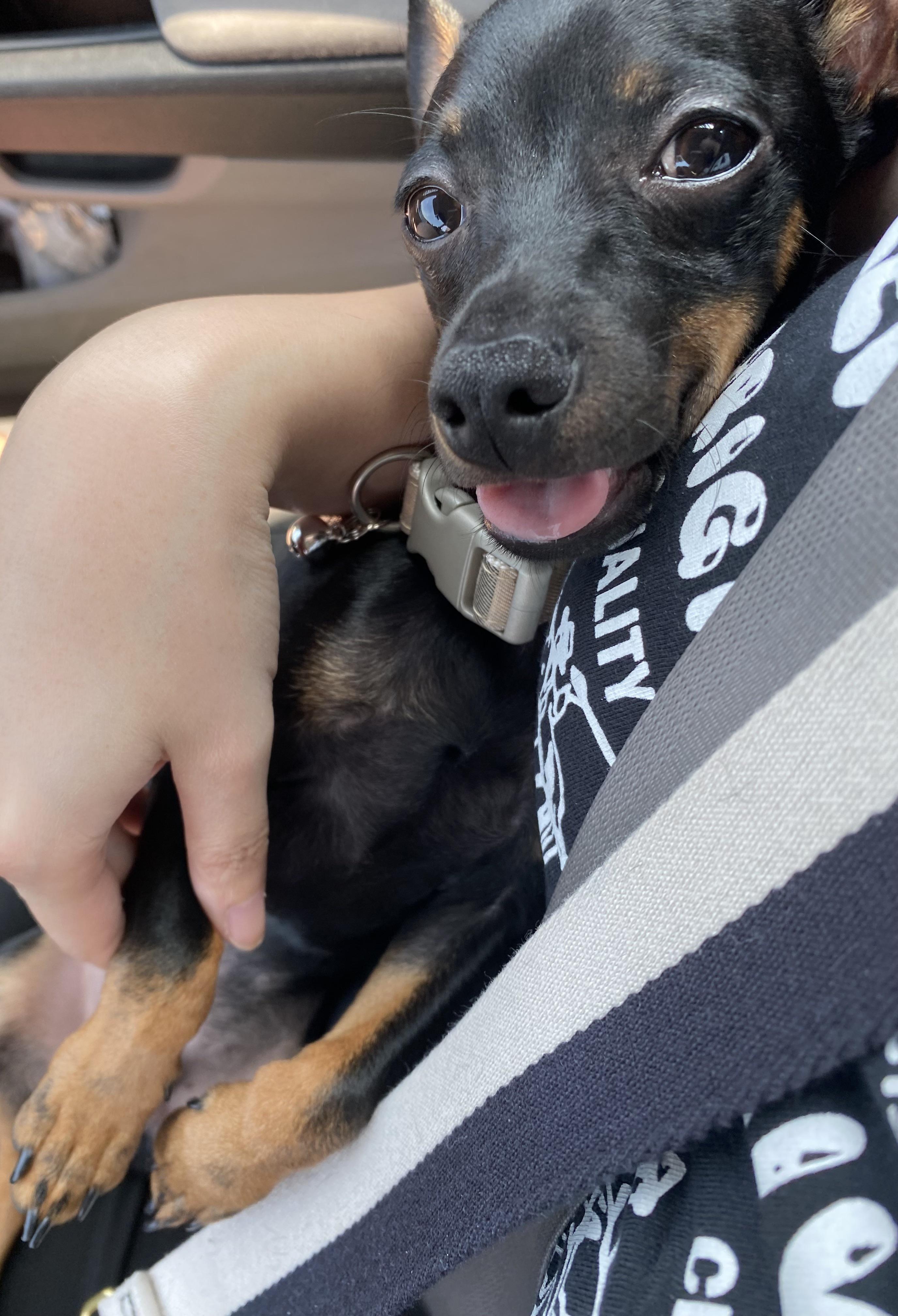 Sunshine and car rides | Scrolller