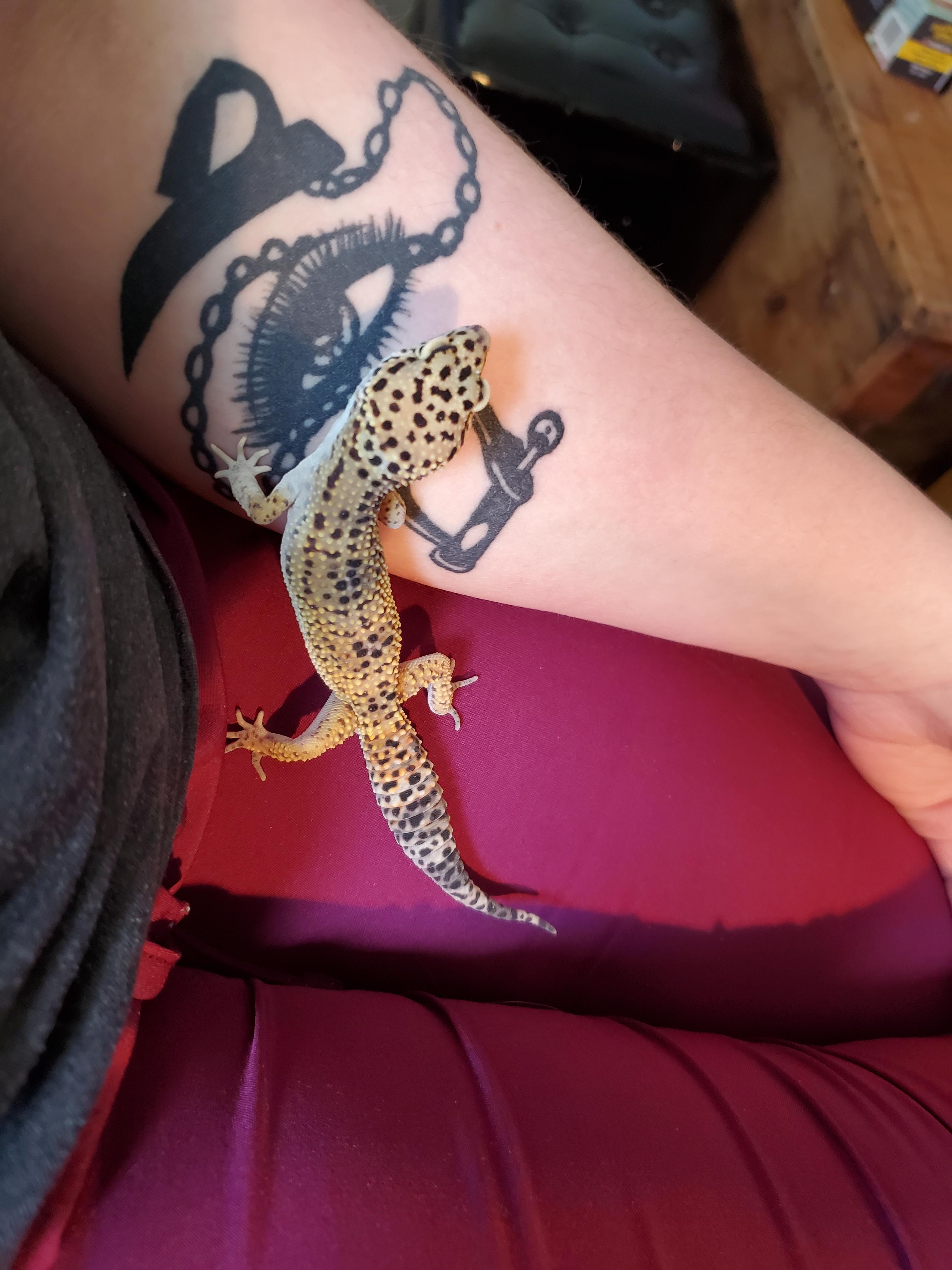 Gary FINALLY pooped! | Scrolller